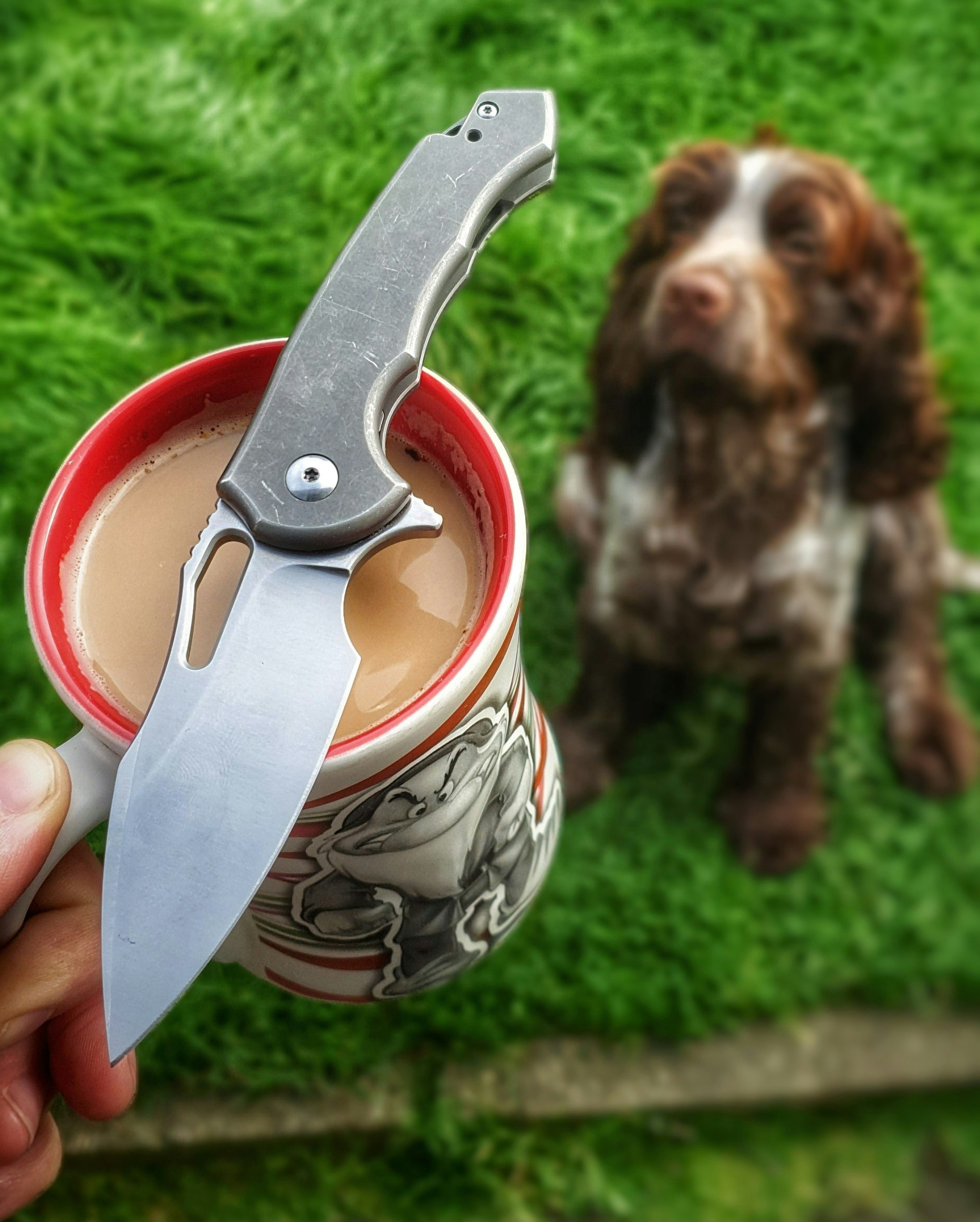 Massdrop x Ferrum Forge Falcon S35VN Folding Knife | Knives | Folding ...