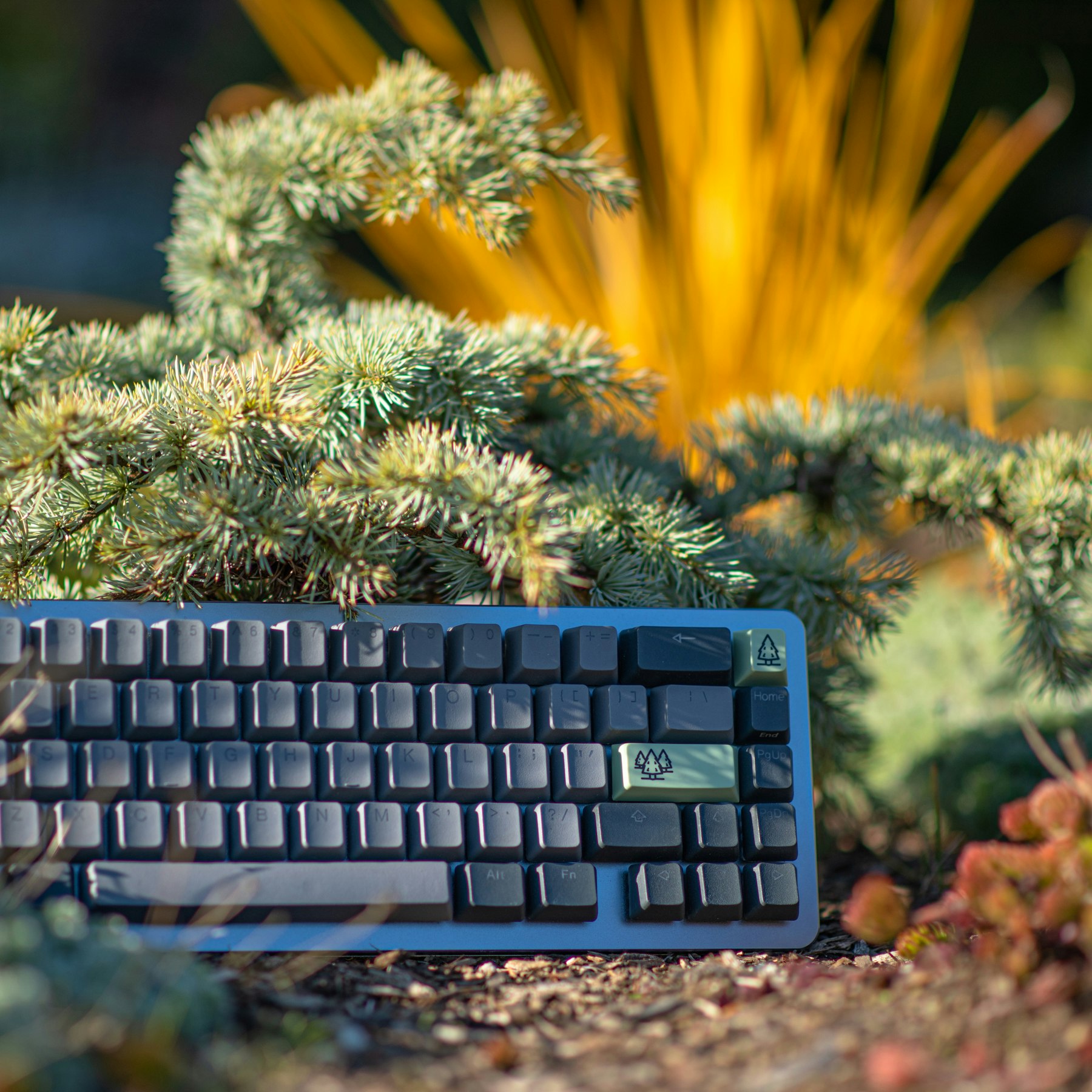 Treecap: Keycaps for Charity | Mechanical Keyboards | Keycaps | Drop
