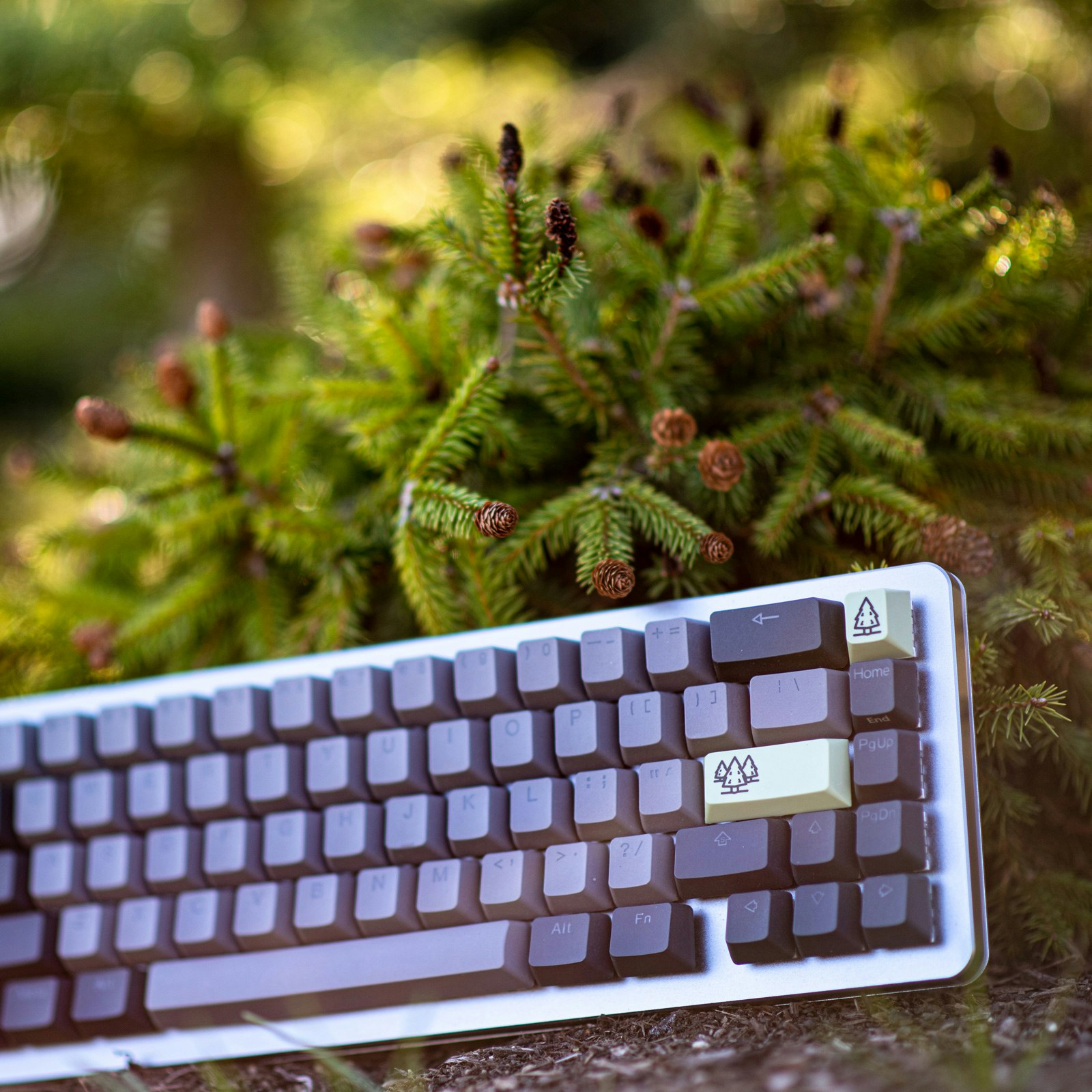 Treecap: Keycaps for Charity | Mechanical Keyboards | Keycaps | Drop