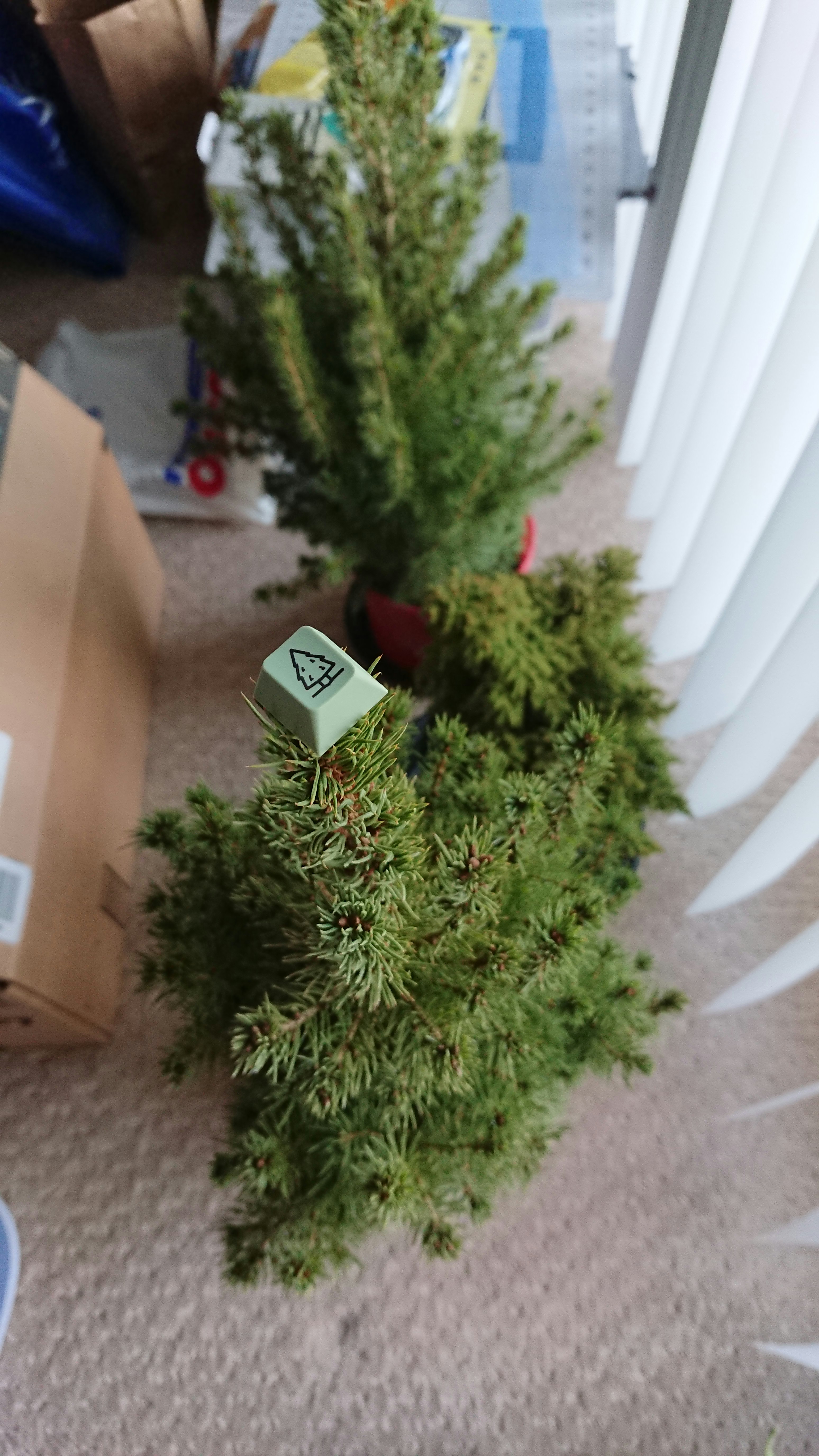 Treecap: Keycaps for Charity | Mechanical Keyboards | Keycaps | Drop