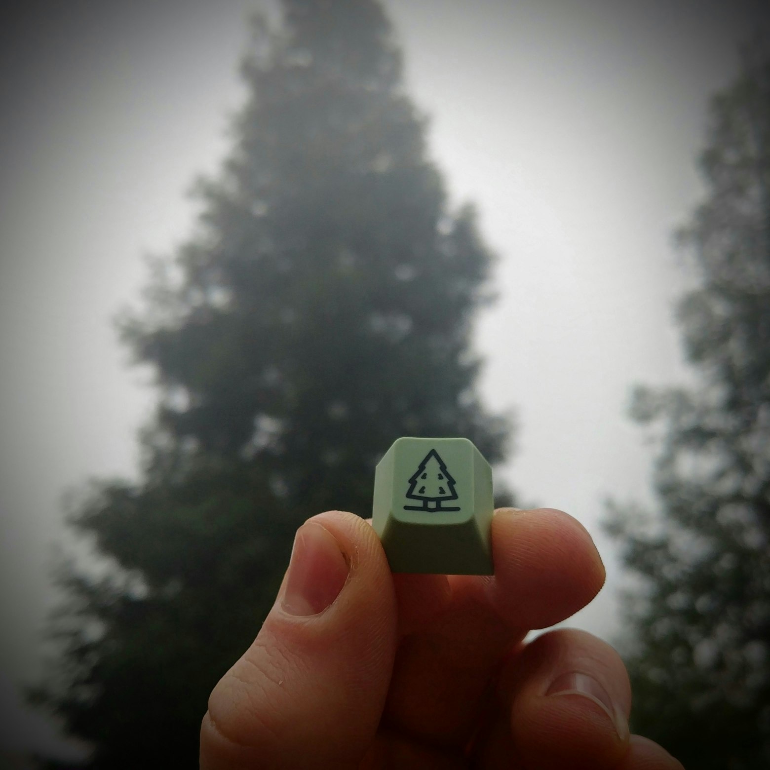 Treecap: Keycaps for Charity | Mechanical Keyboards | Keycaps | Drop