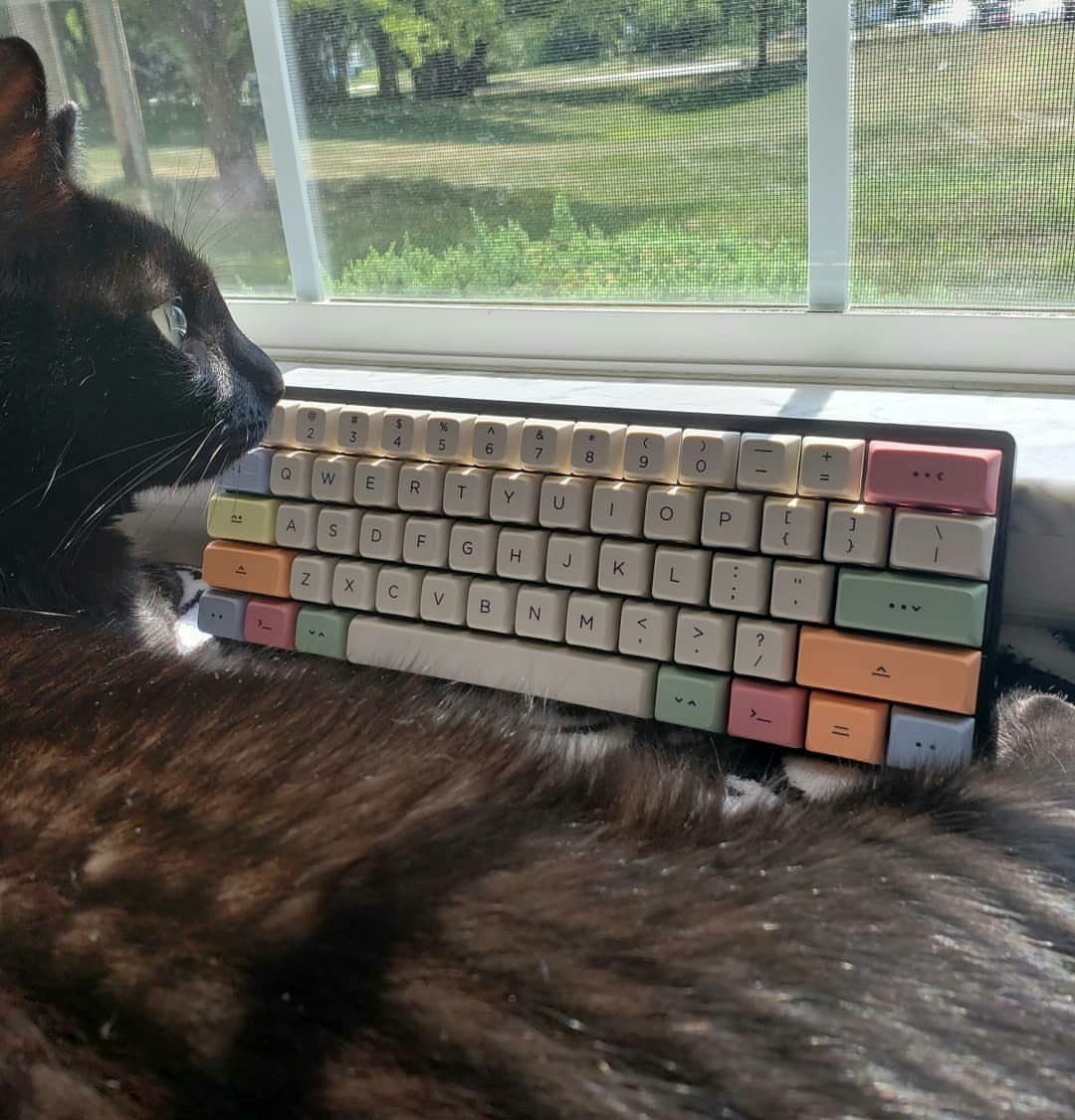 Drop + MiTo XDA Canvas Custom Keycap Set | Mechanical Keyboards ...