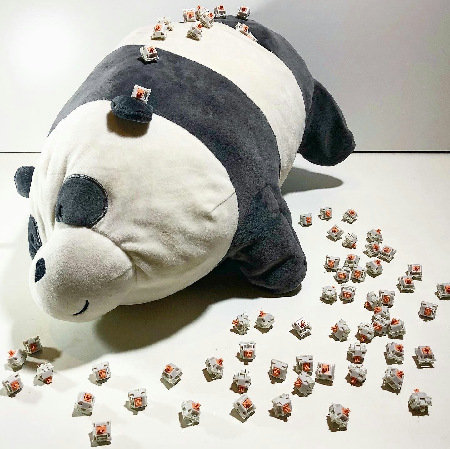 Drop + Invyr Holy Panda Mechanical Switches | Tactile Mechanical ...