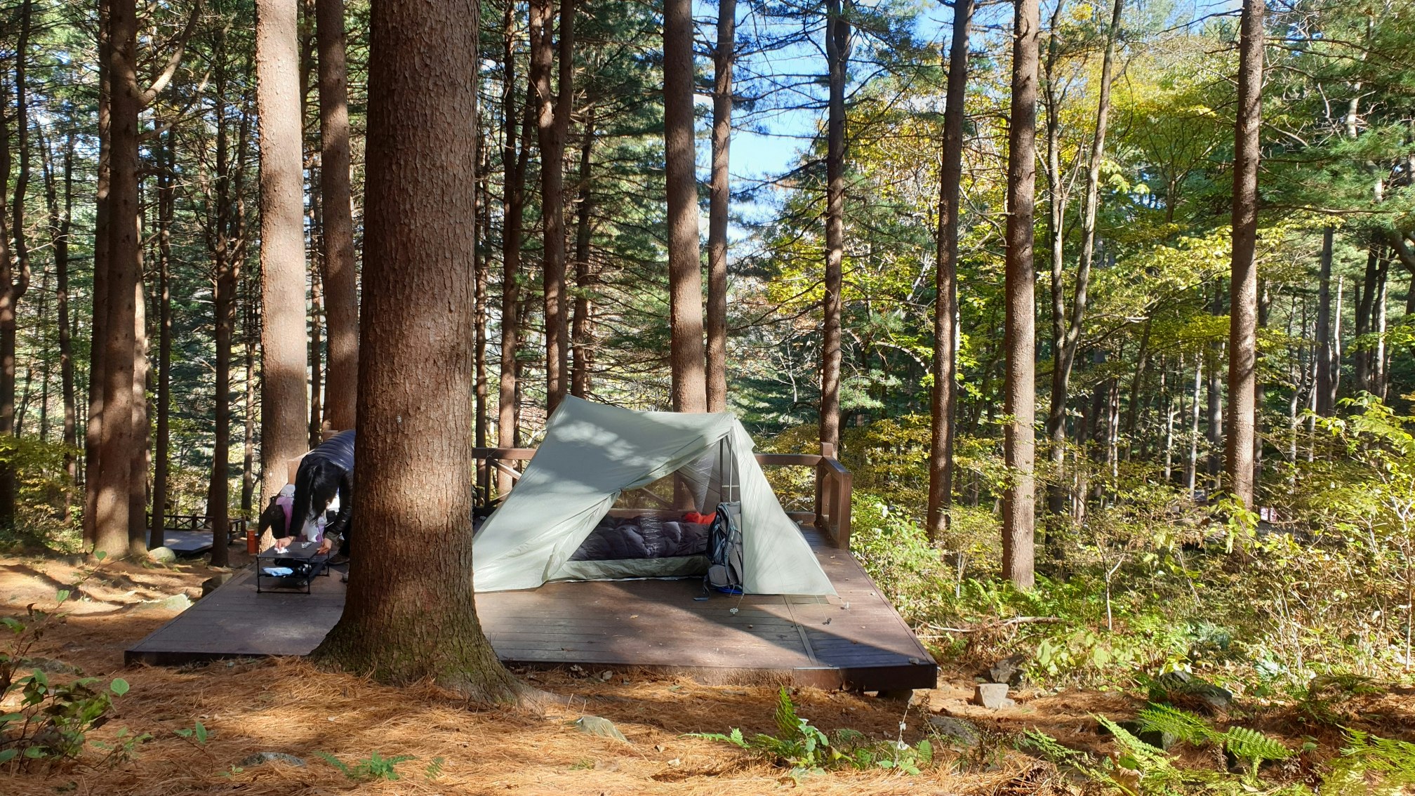 Drop X-Mid 2P Tent Designed by Dan Durston | Price & Reviews | Drop