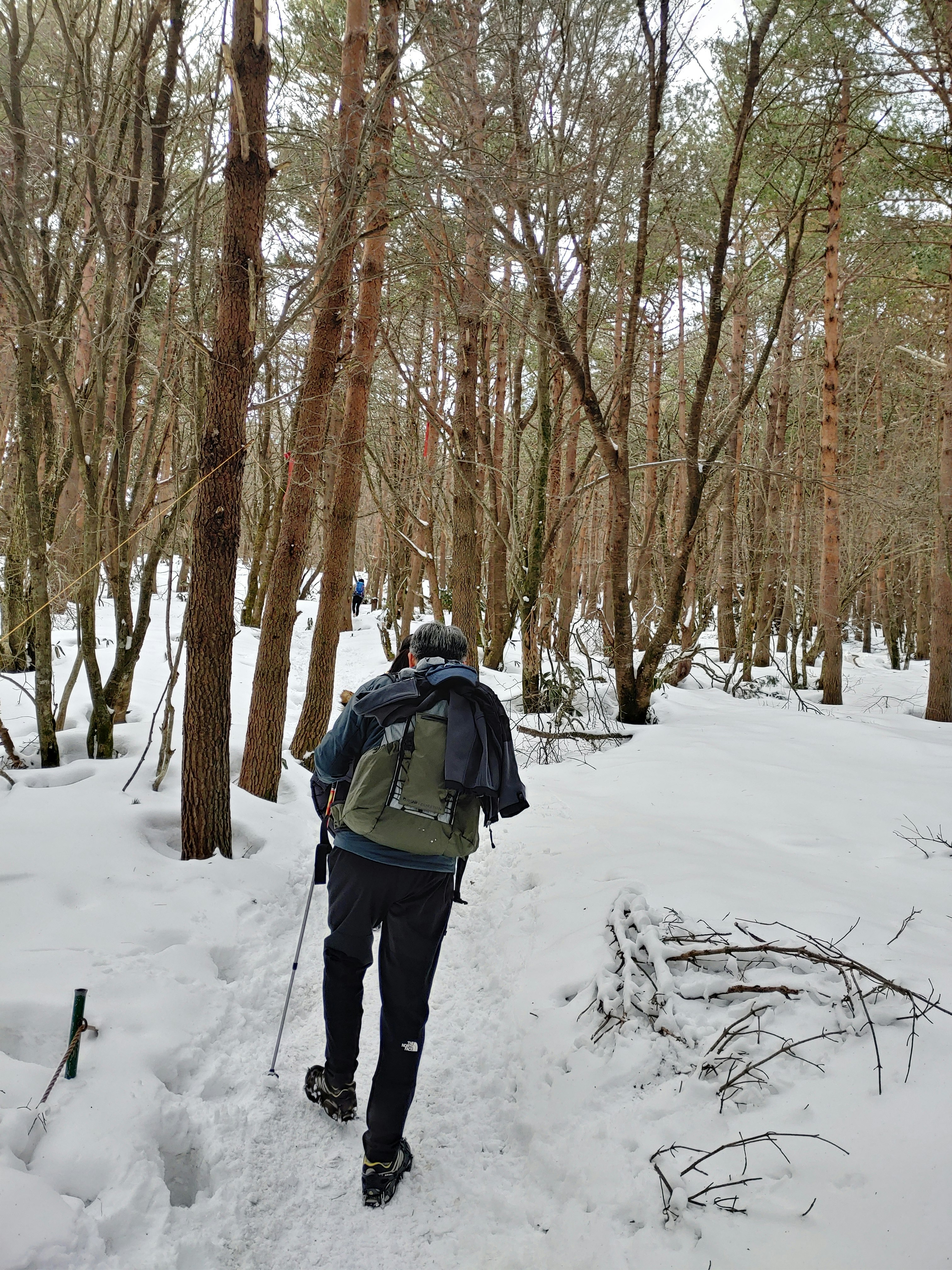 Drop 40L Backpack Designed by Dan Durston | Backpacks