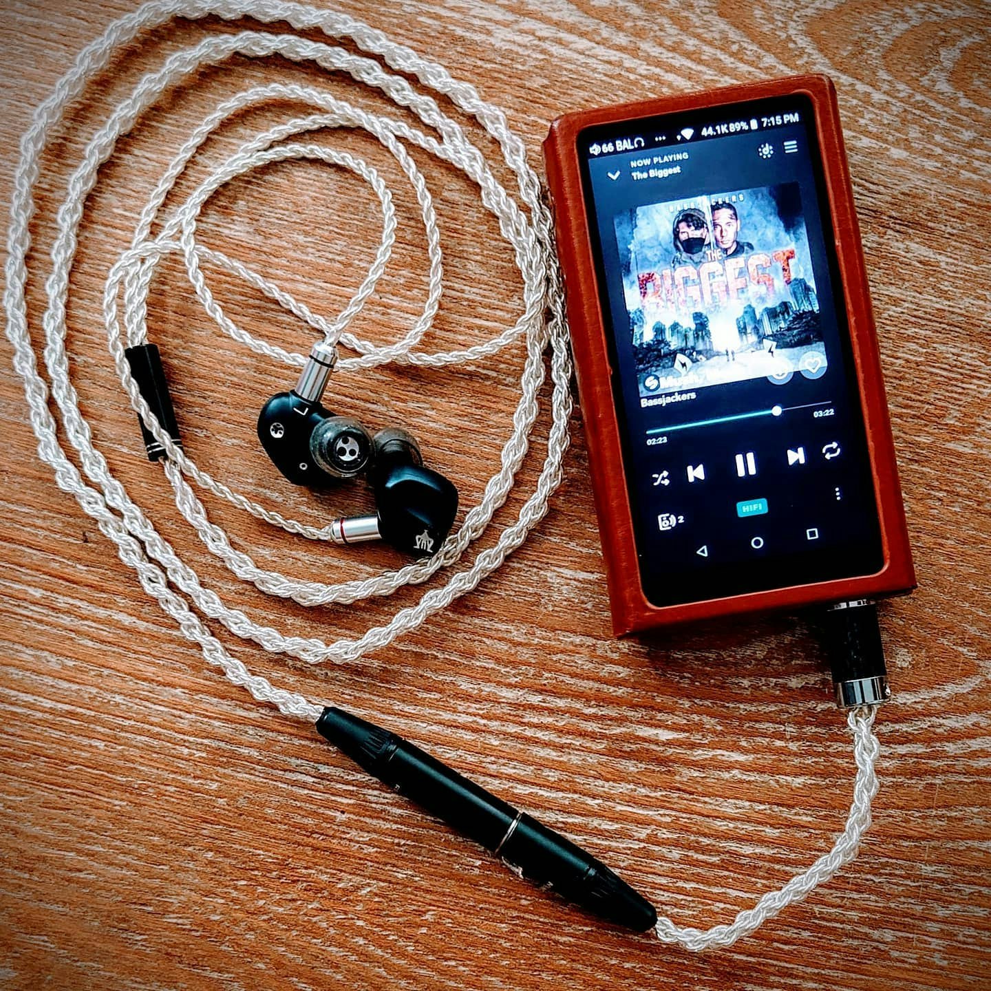 IEM that sounds like a single driver unit. I use these as my reference ...