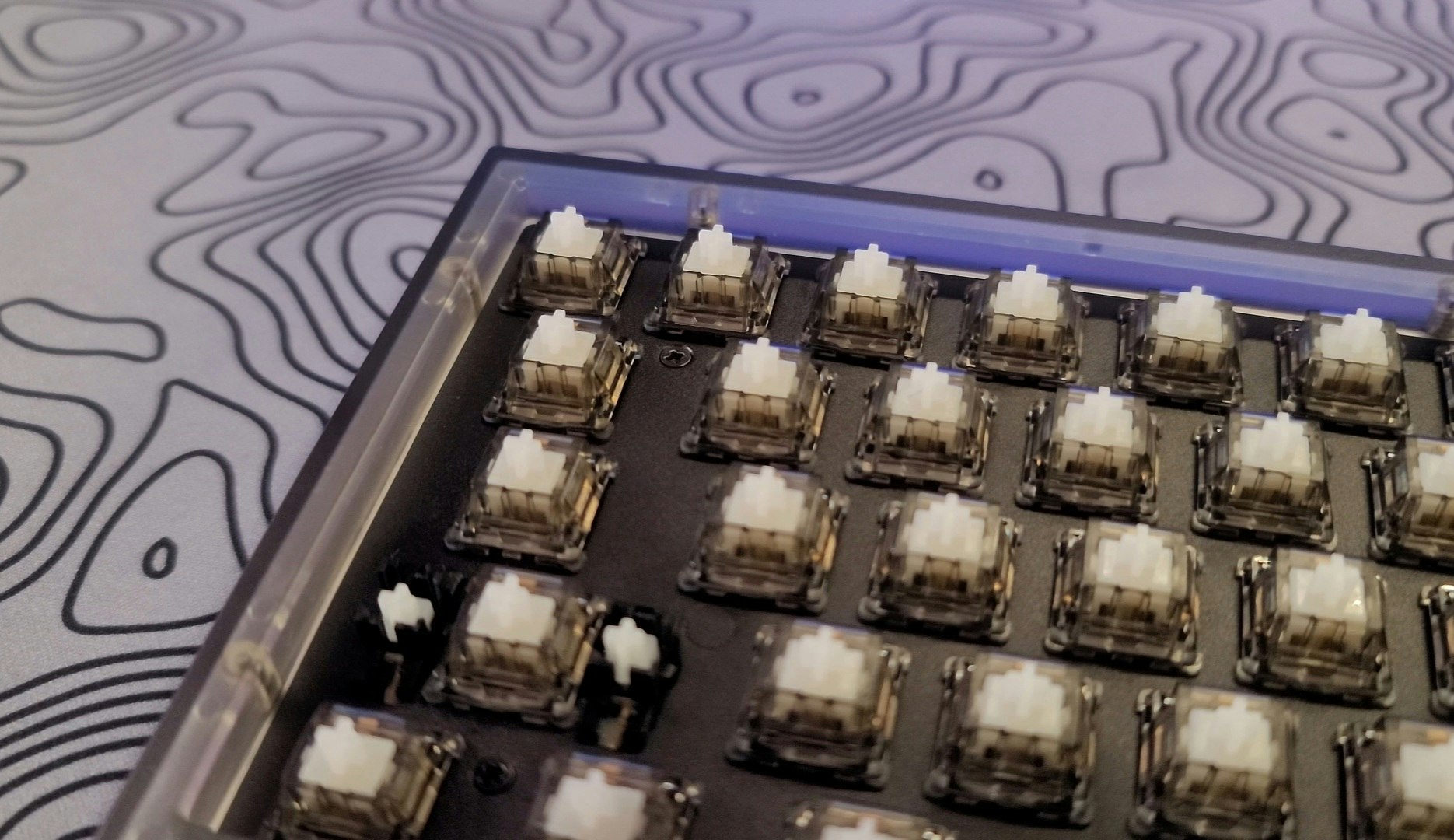 Everglide Oreo Mechanical Switches | Mechanical Keyboards | Components ...