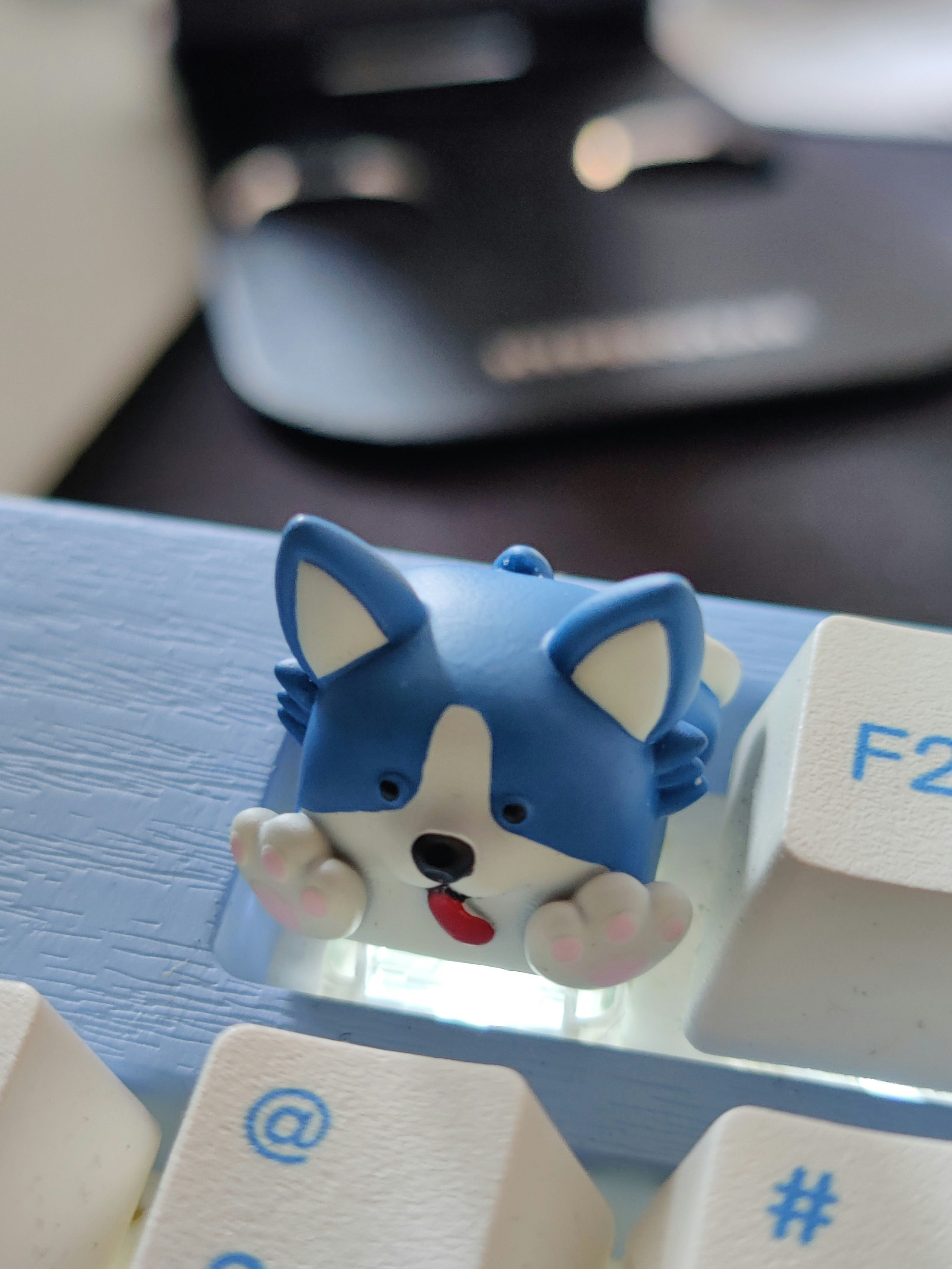 Z Mech Corgi Resin Artisan Keycap | Mechanical Keyboards | Keycaps ...