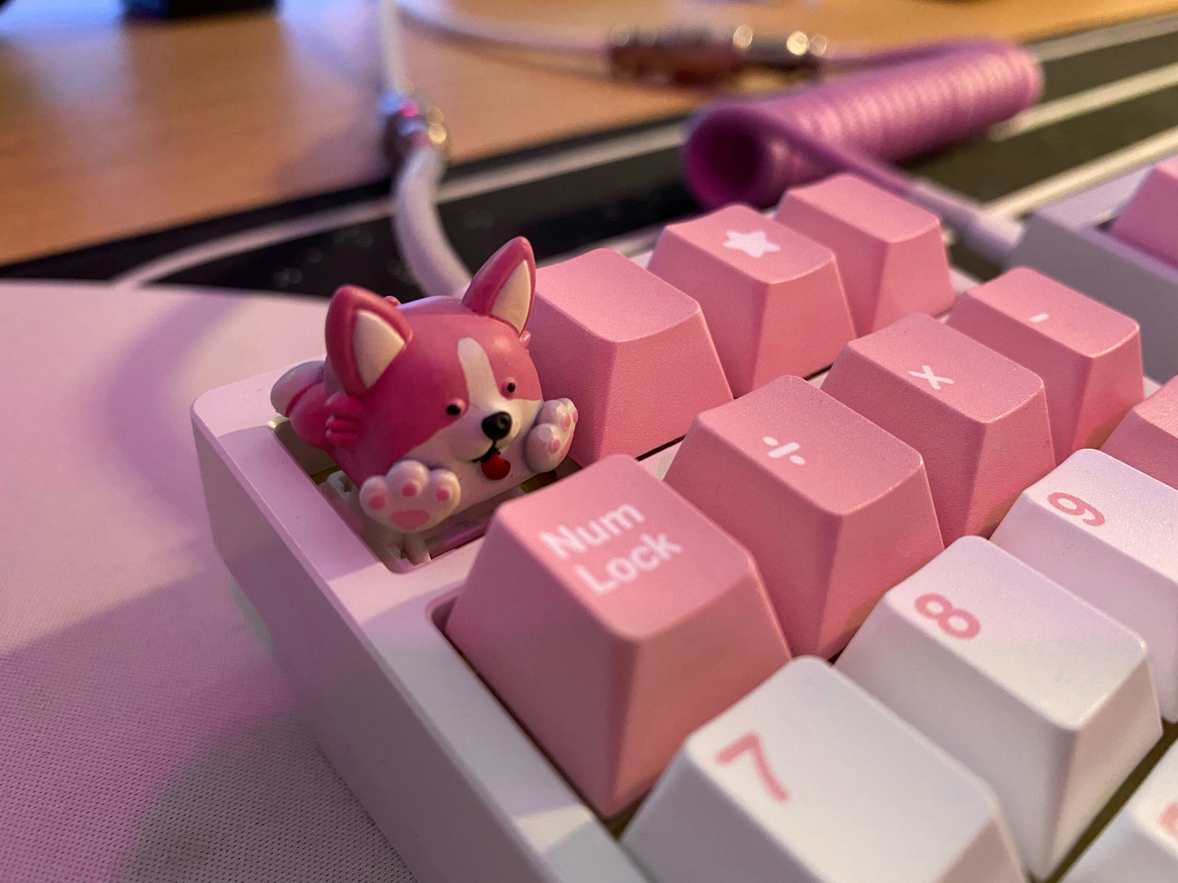 Z Mech Corgi Resin Artisan Keycap | Mechanical Keyboards | Keycaps ...