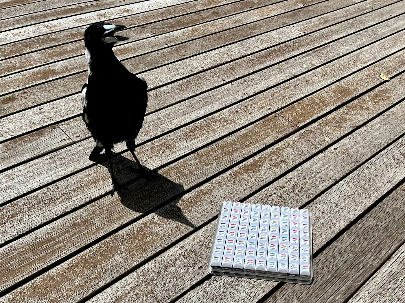 KBDfans All-in-One 72-Switch Tester | Mechanical Keyboards | Switch ...