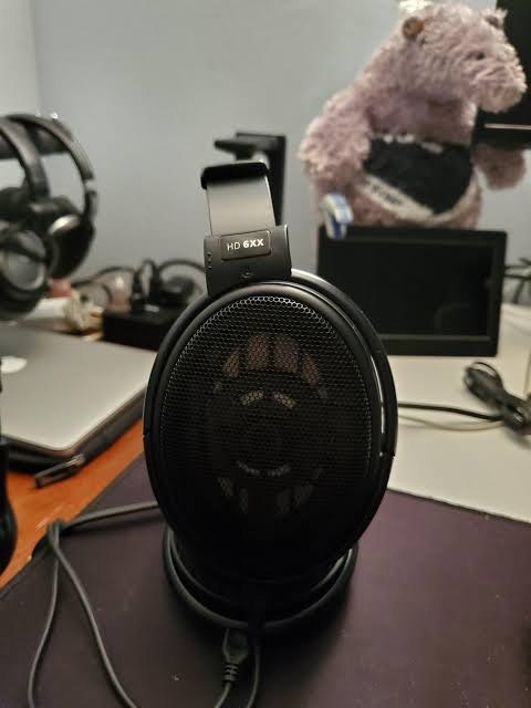 Amazing value, look just like my original hd600's | Drop