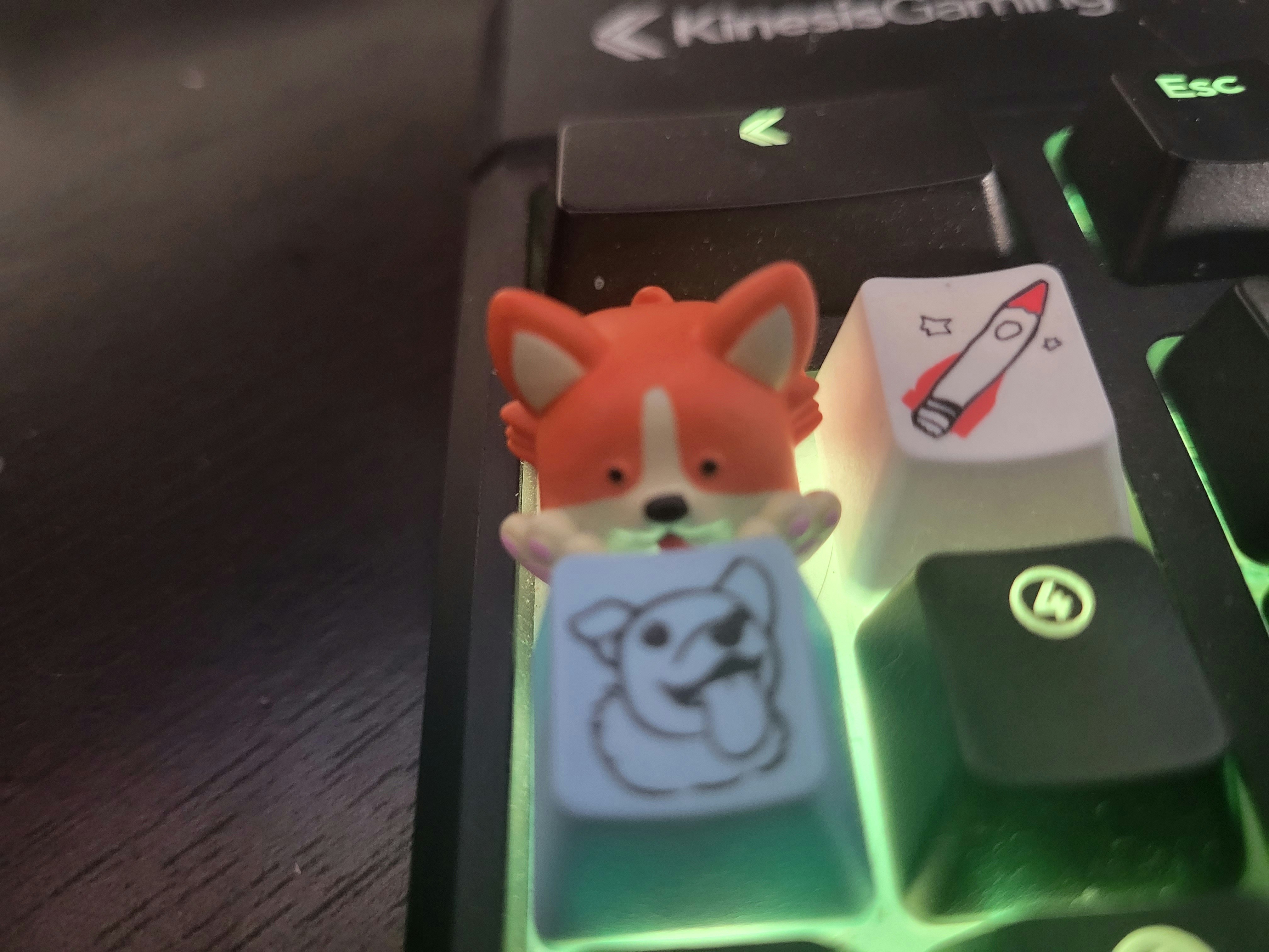 Z Mech Corgi Resin Artisan Keycap | Mechanical Keyboards | Keycaps ...