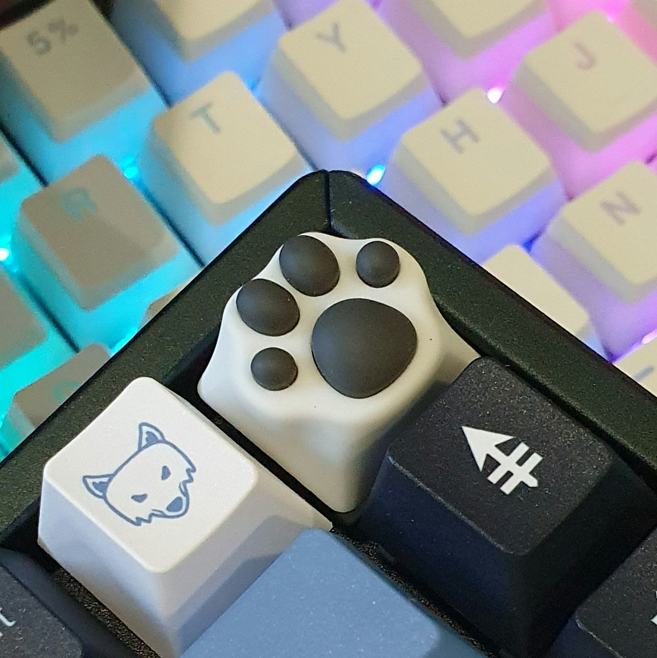 grey toebeans | Drop