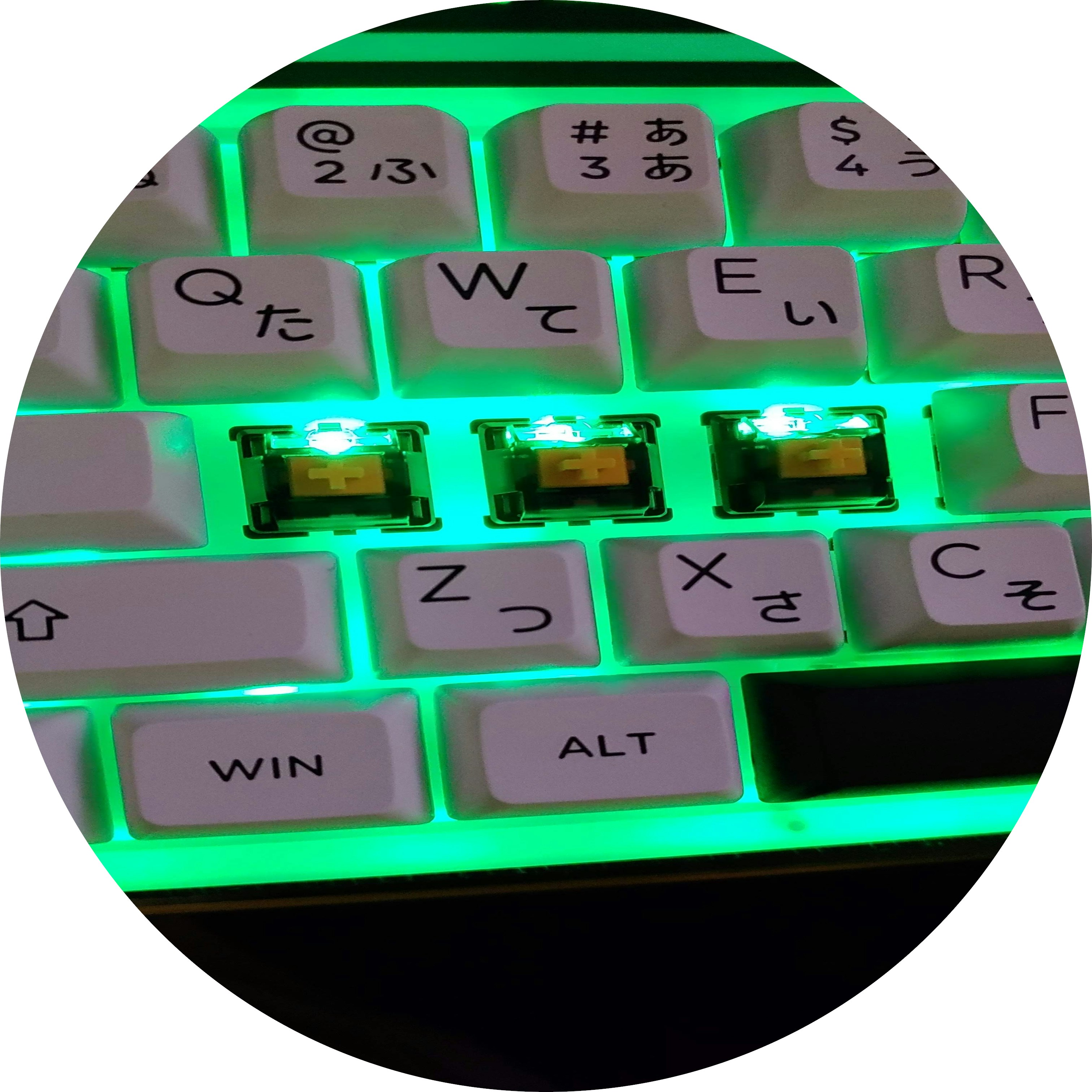 Backlit Holy Panda X Switch | Drop