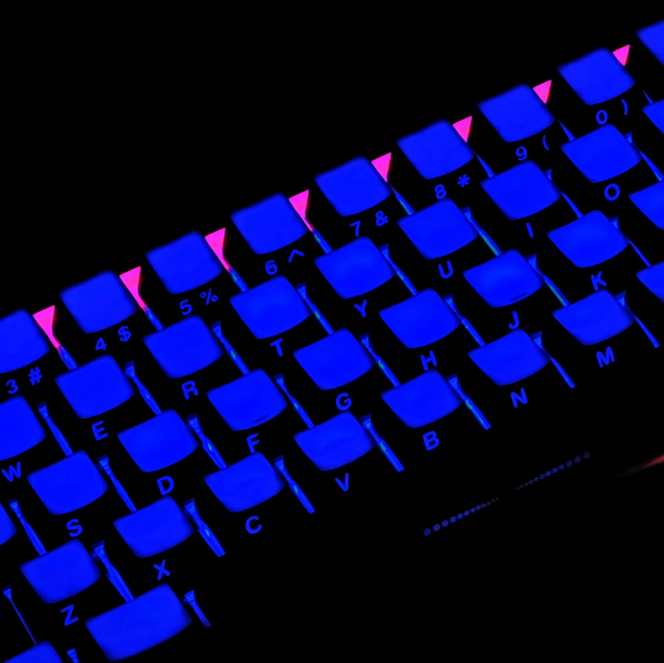 I diffused the led pass through on my everglide aqua king switches with ...