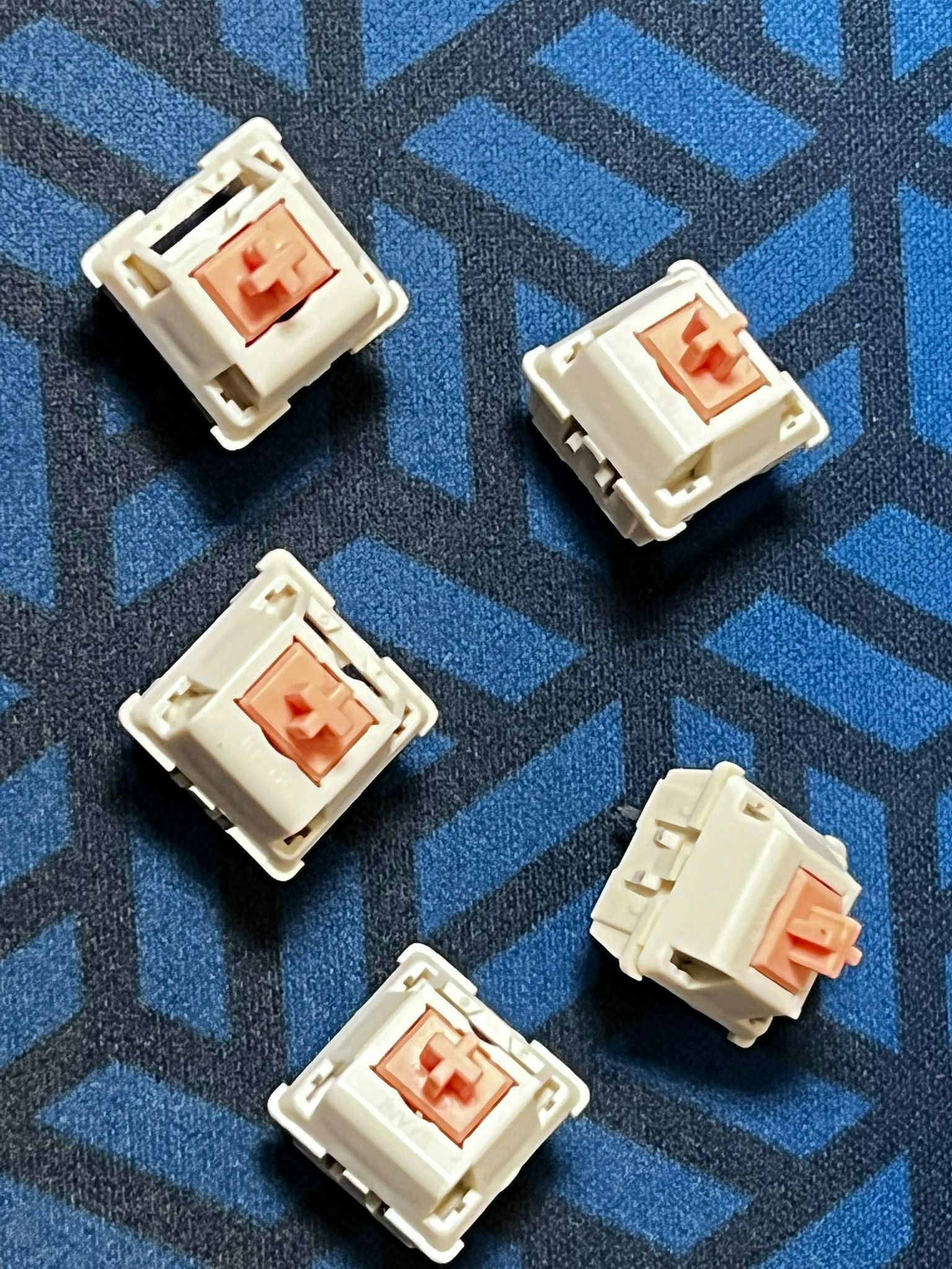 Invyr Holy Panda switches | Drop