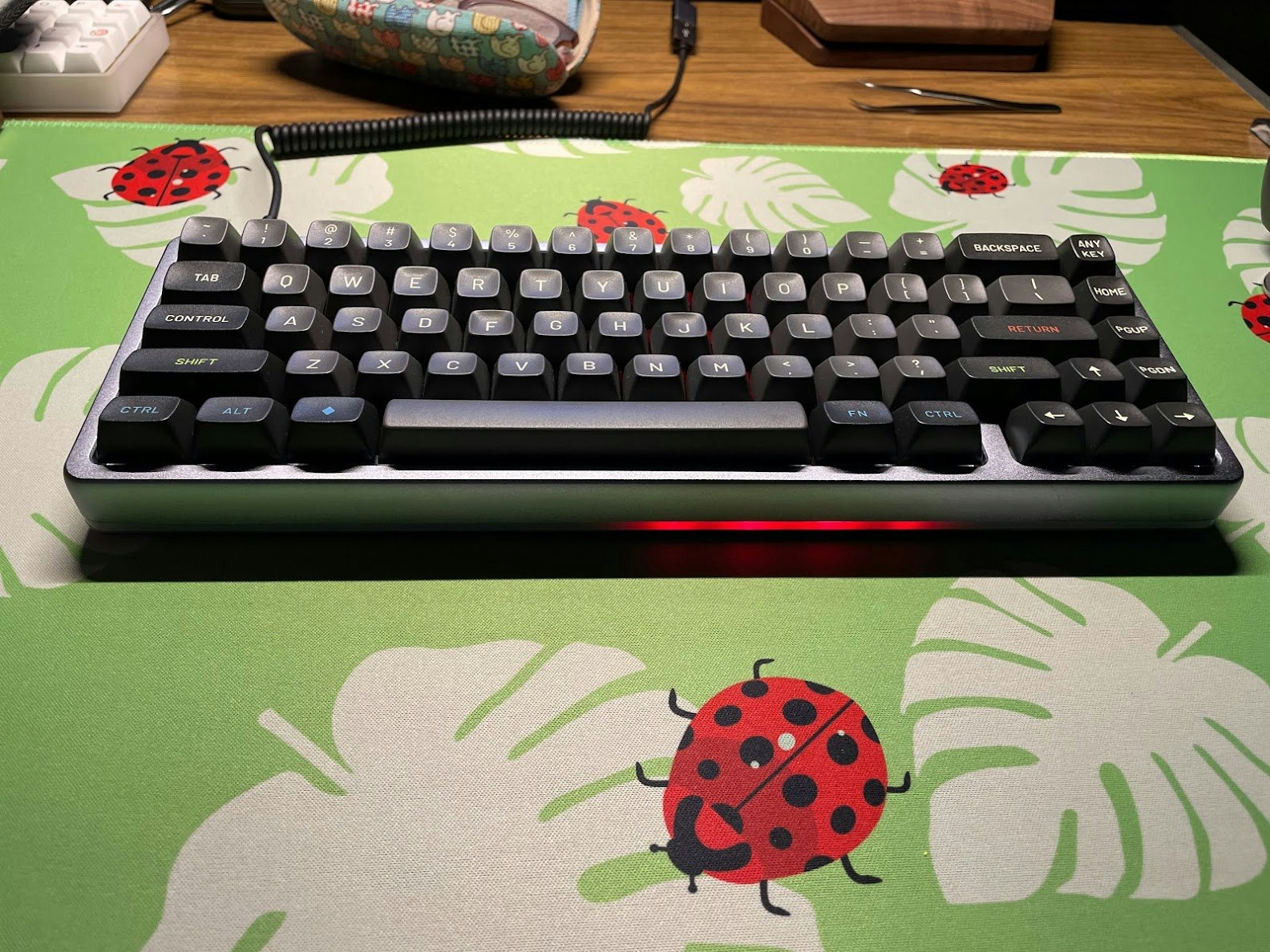 Alt HI Pro with MT3 Susuwatari | Drop