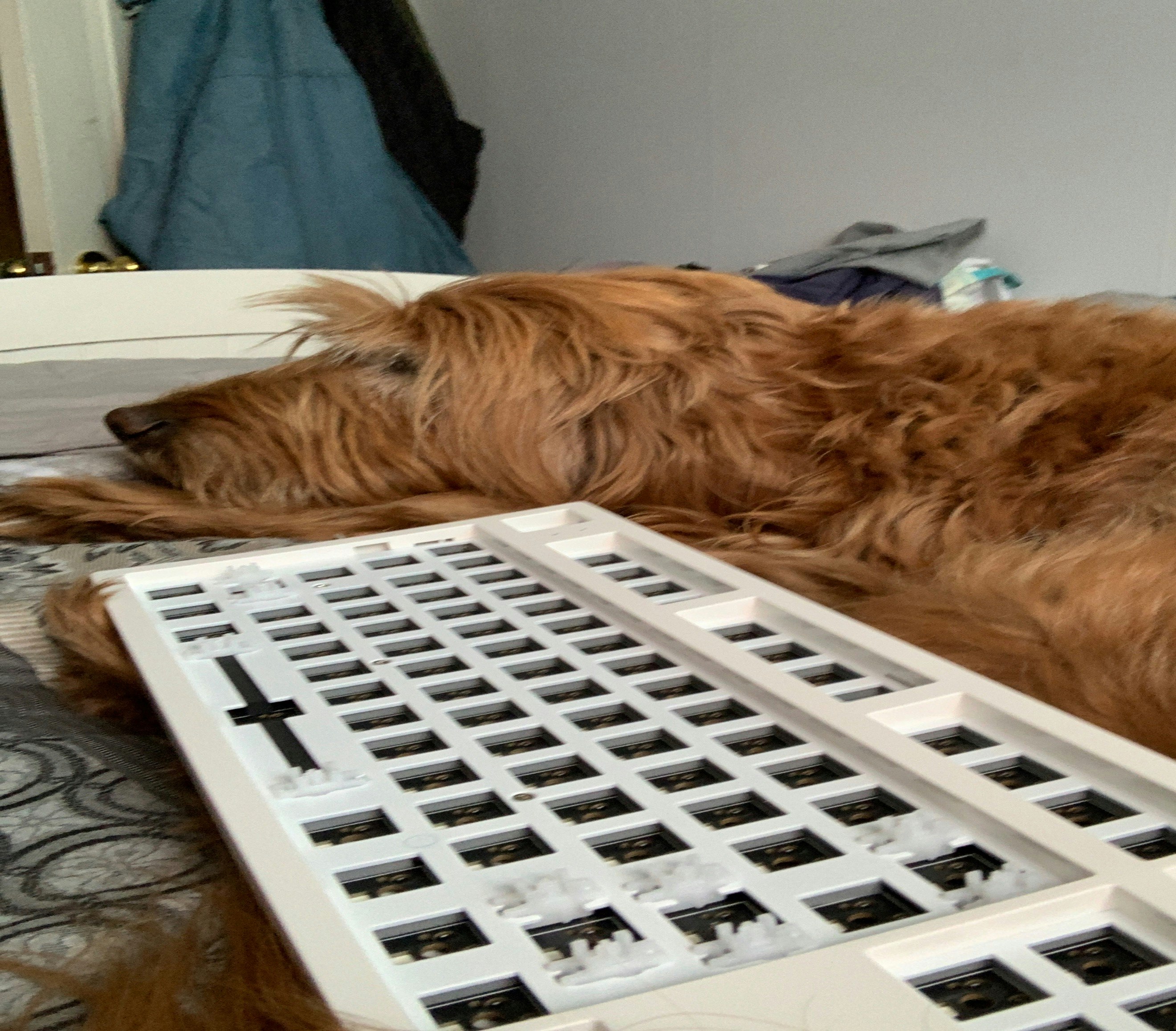 Pretty poggers board, stabilizers are meh but it’s a good barebones for the price | Drop