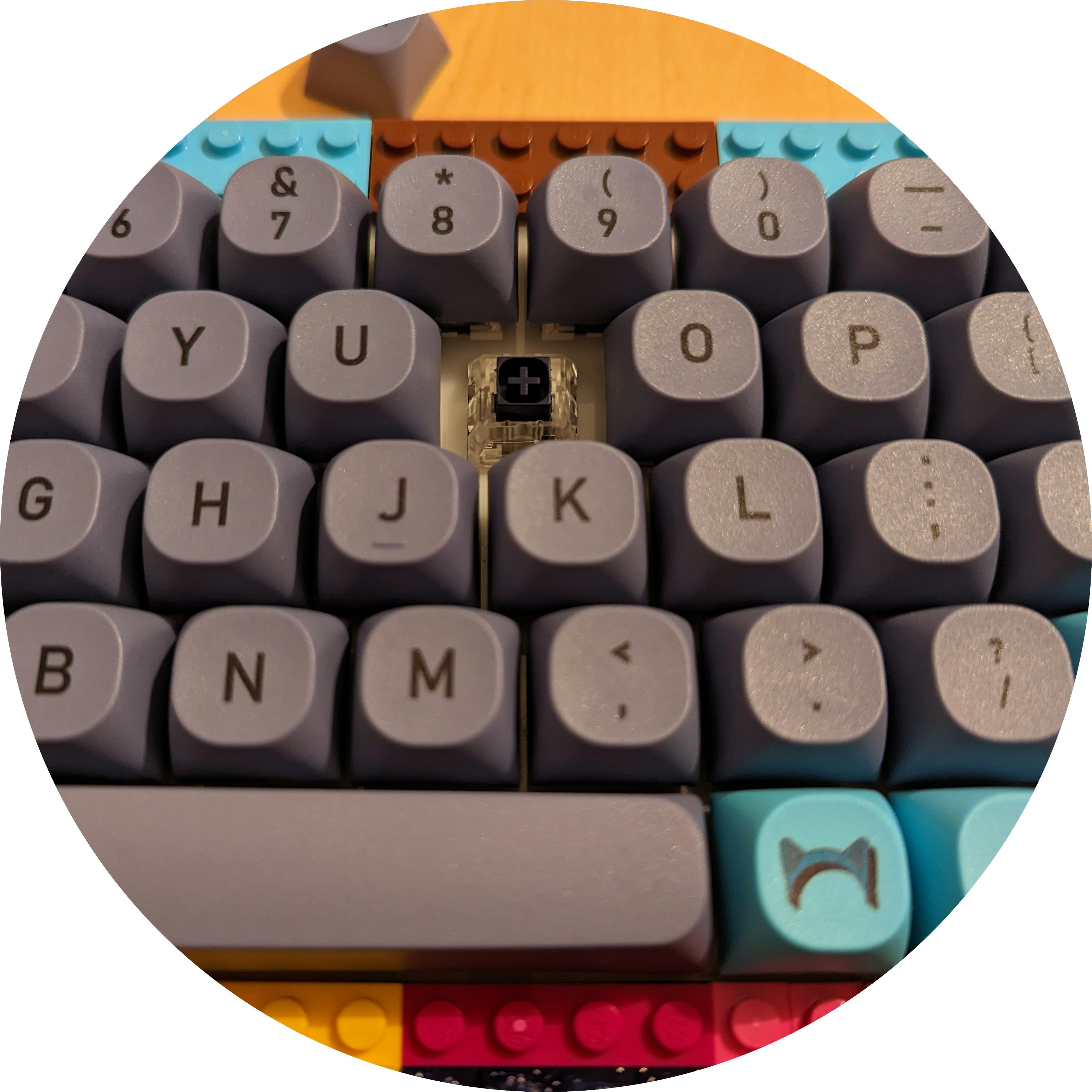 Kailh x Novelkeys Box Navy MX Mechanical Switches | Mechanical ...
