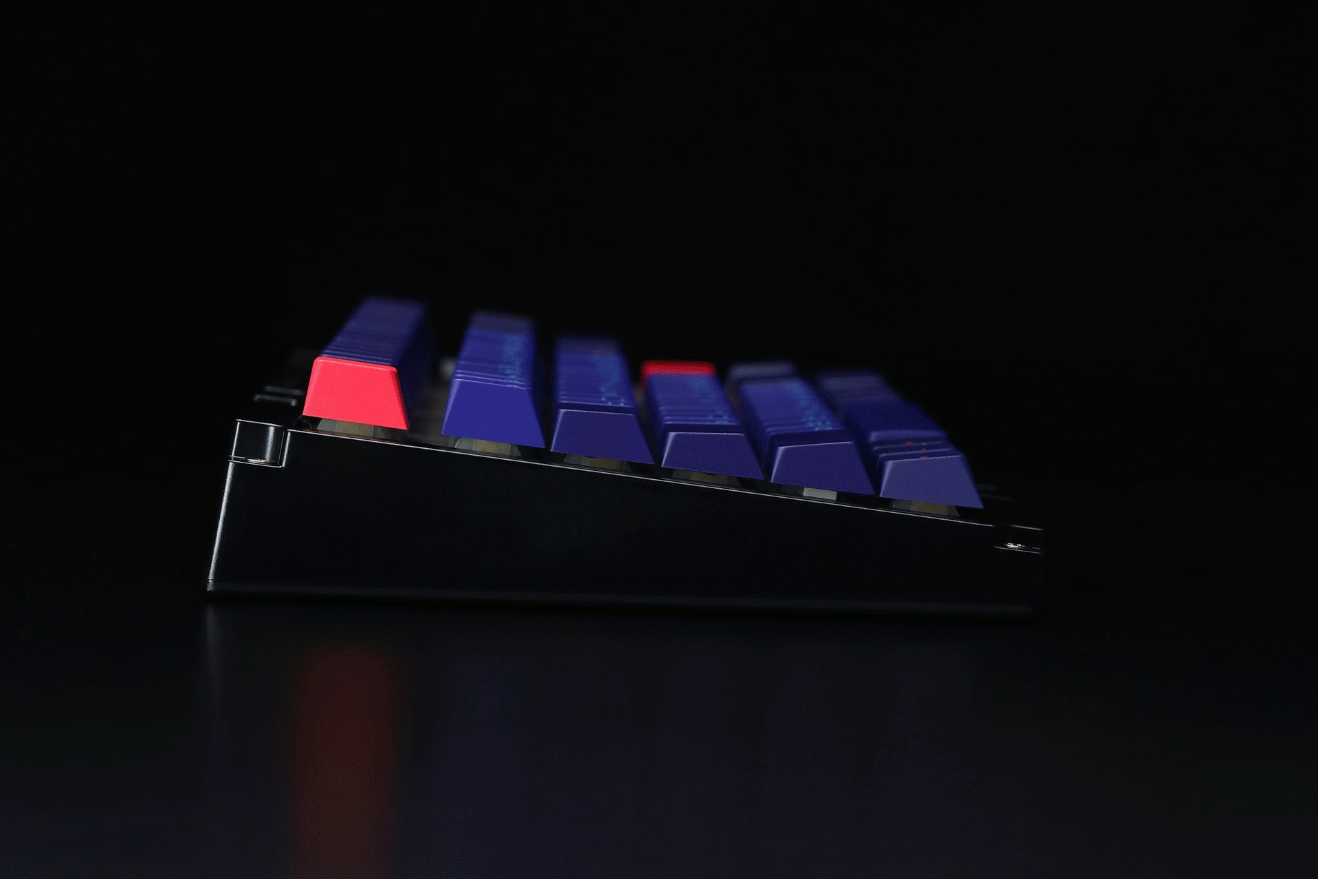 Classics Refreshed + New Customization | Drop