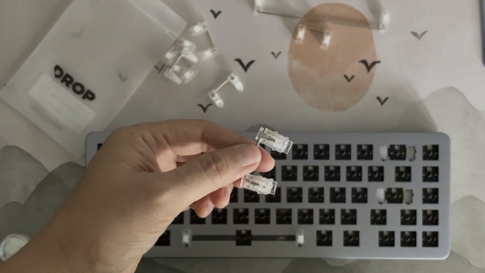 DROP Phantom plate-mounted stabs + DROP Alt v2 + DROP Holy pandas | Drop