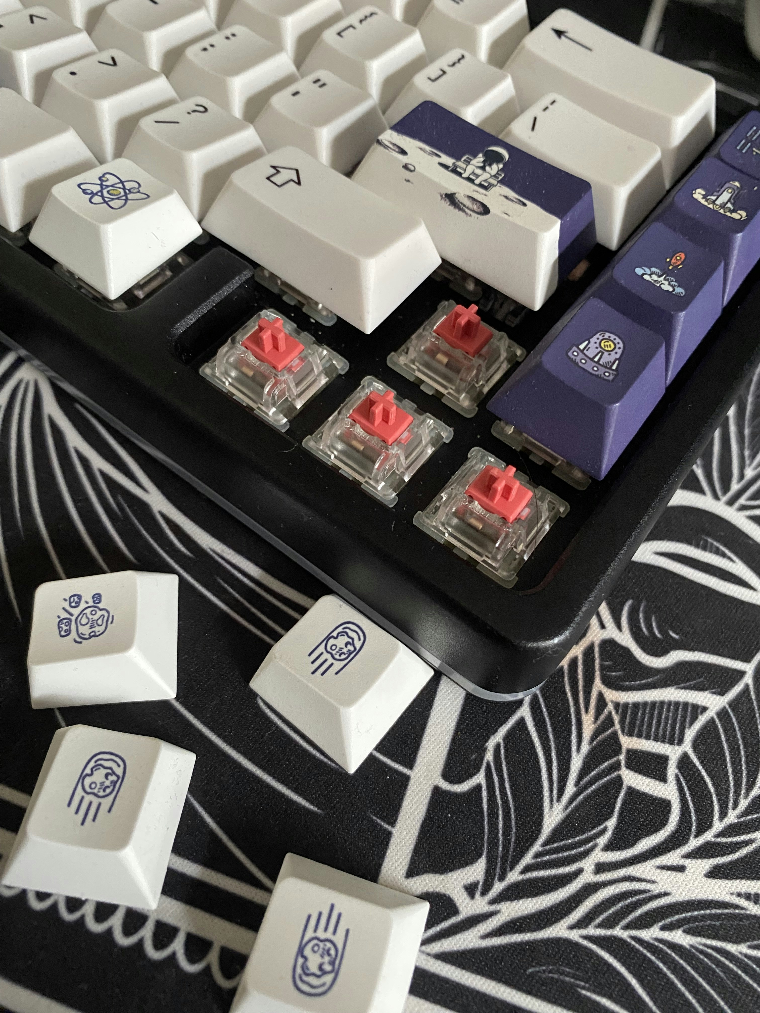 Cherry MX Silent Red RGB Switches | Linear Switches | Drop