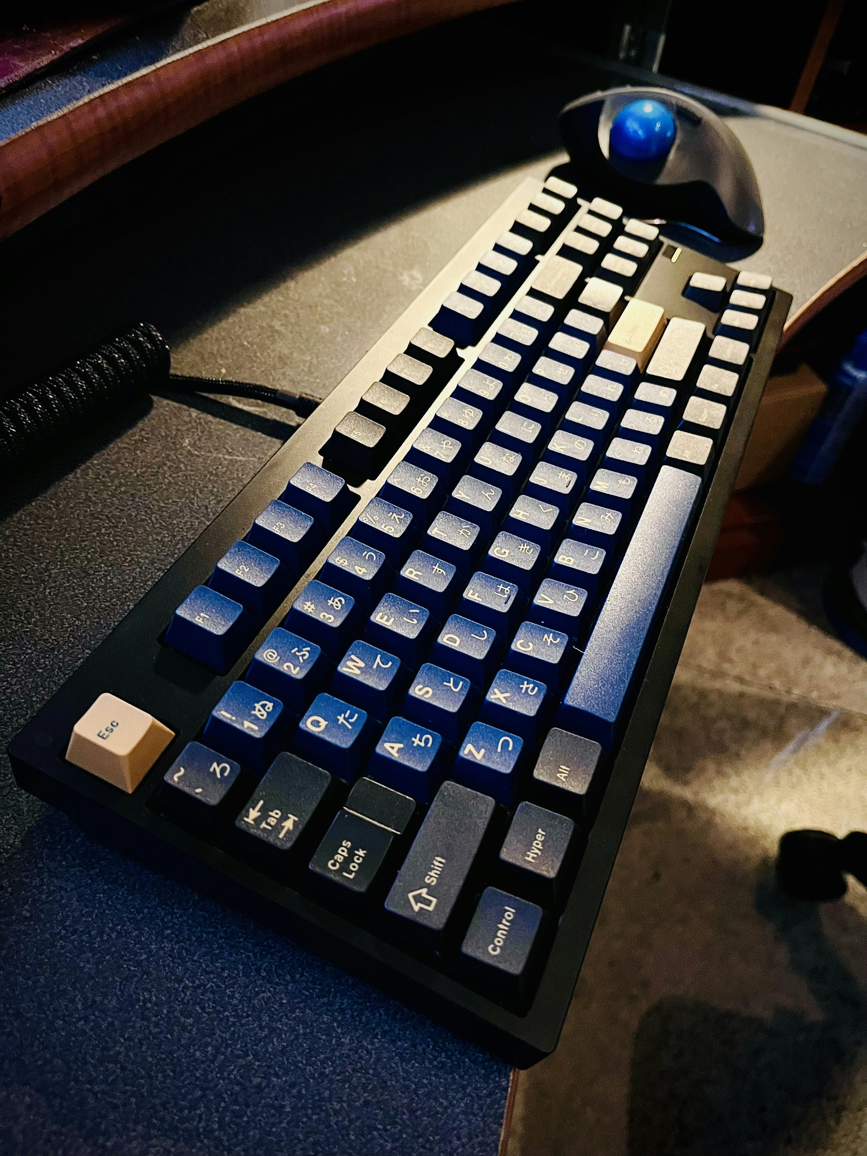 Blue Sammy on 8X | Drop