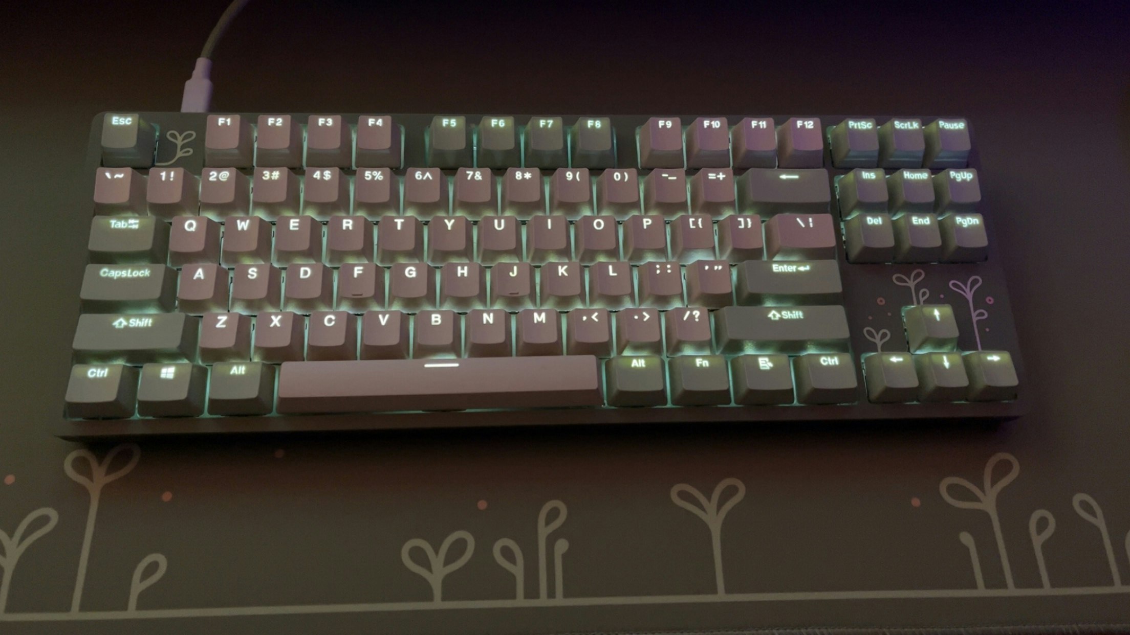 Drop Expression Series Shinai Keyboard | Mechanical Keyboards | TKL ...