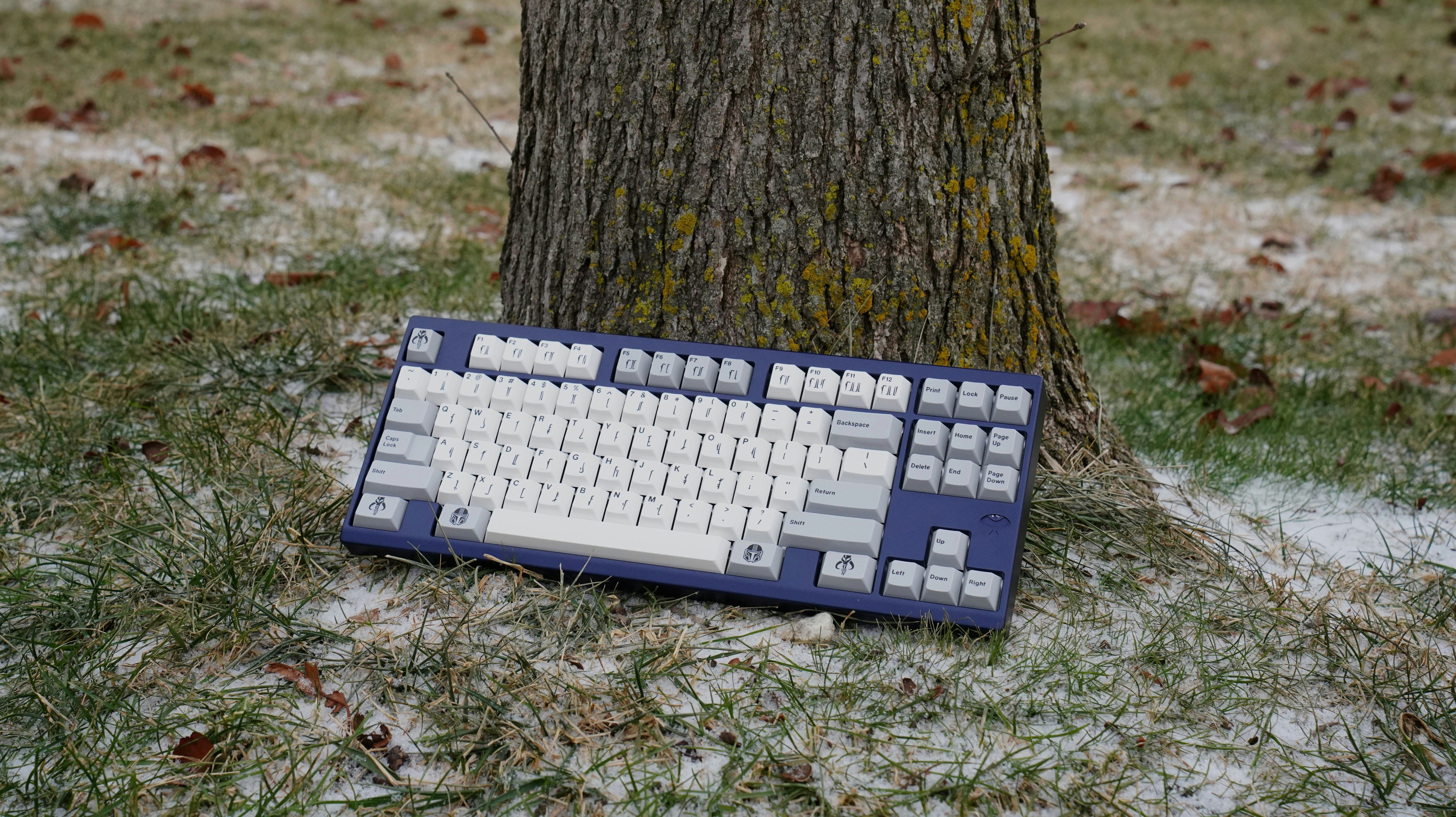 Mechanical Keyboard Switches 101 - MX Style Switches | Drop