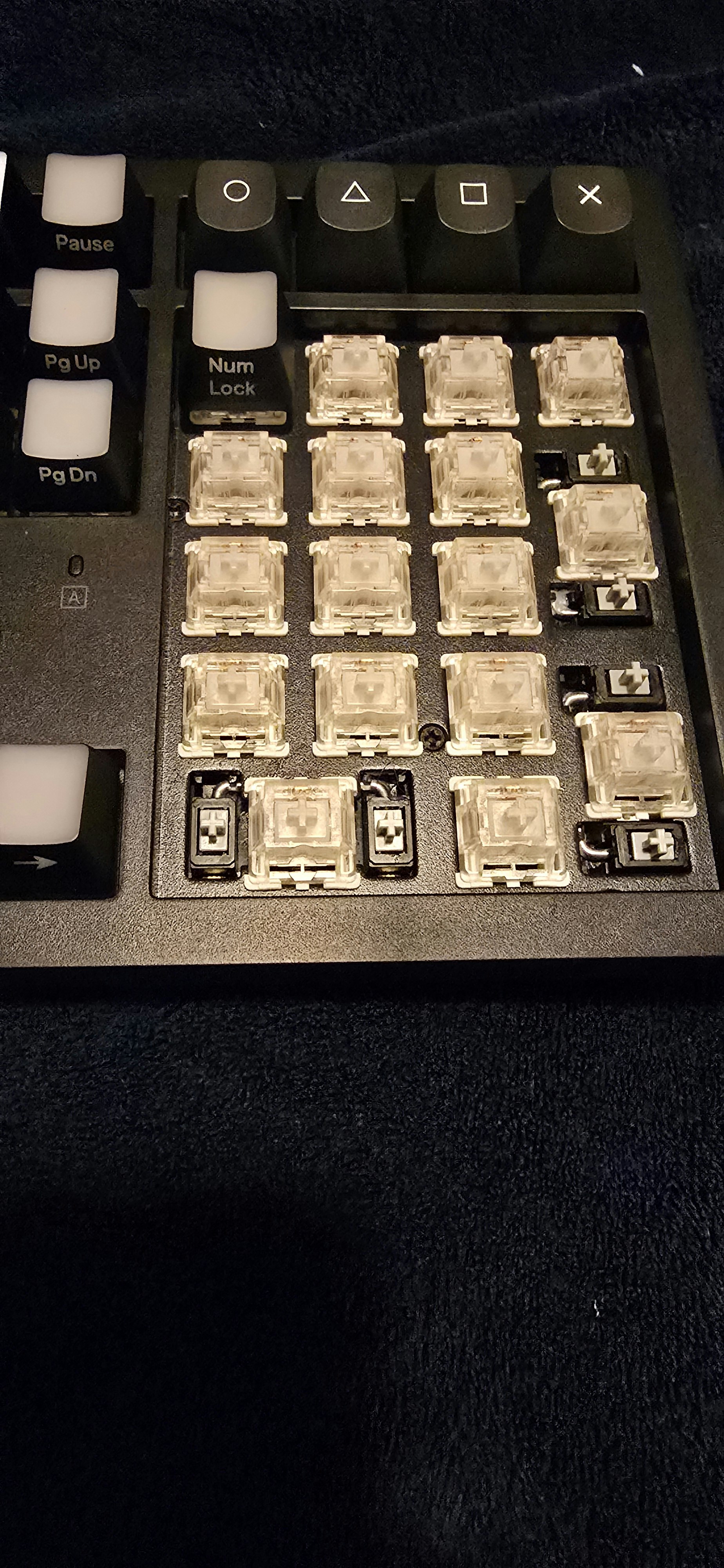 Drop Holy Panda X Clear Mechanical Switches | Mechanical Keyboards ...