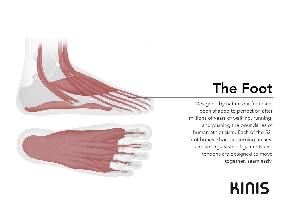 “The human foot is a masterpiece of engineering and a work of art ...