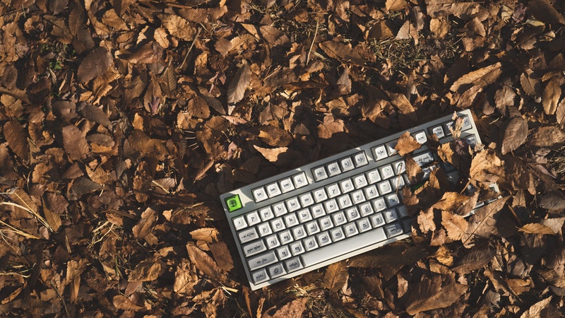 /dev /tty MT3 ELVEN KIT | Drop