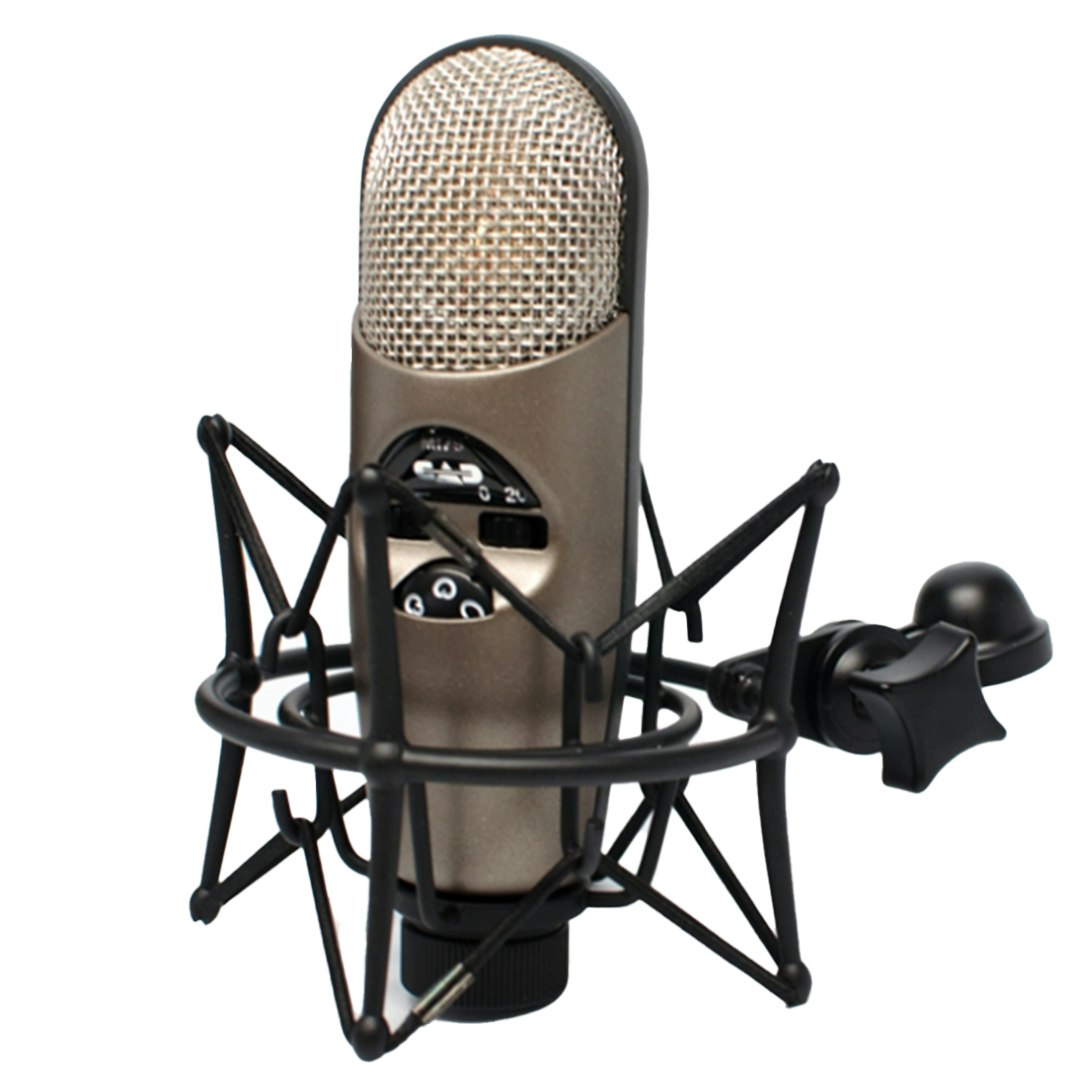 CAD Audio M179 Large Diaphragm Polar Pattern Condenser Microphone ...