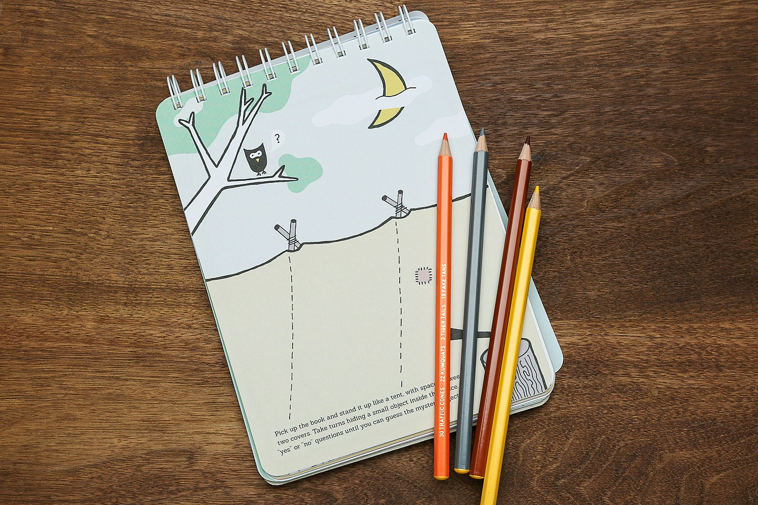 Tandem Activity Book & Colored Pencils Bundle | Pens | Calligraphy Pens ...