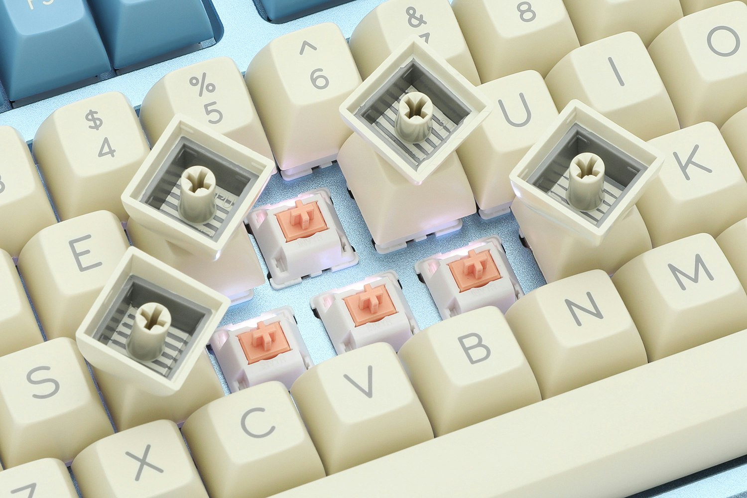 Drop Paragon Series Moon Shot Keyboard | Mechanical Keyboards | TKL ...