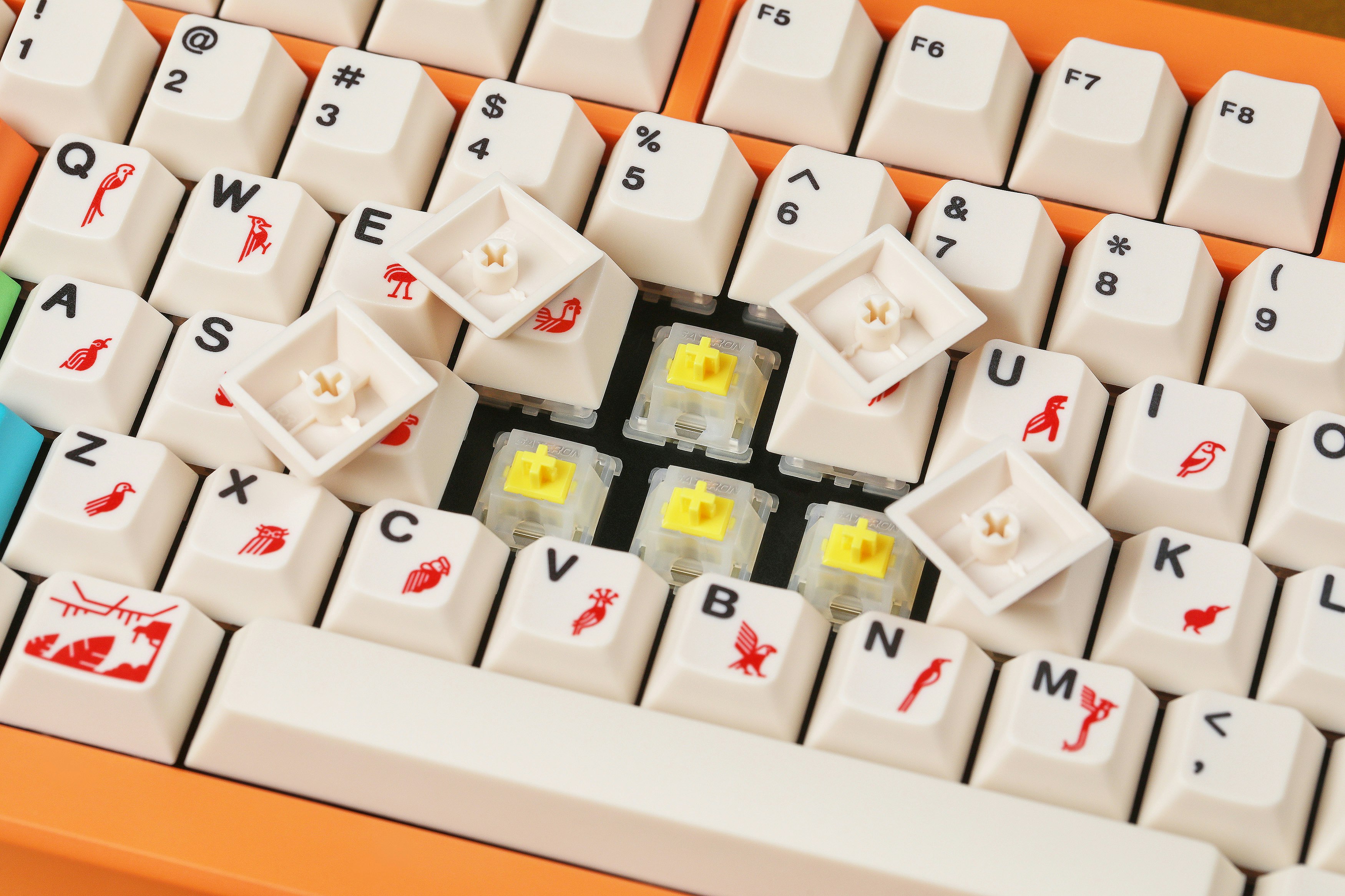 Drop Signature Series Bird Jungle Keyboard | Mechanical Keyboards ...