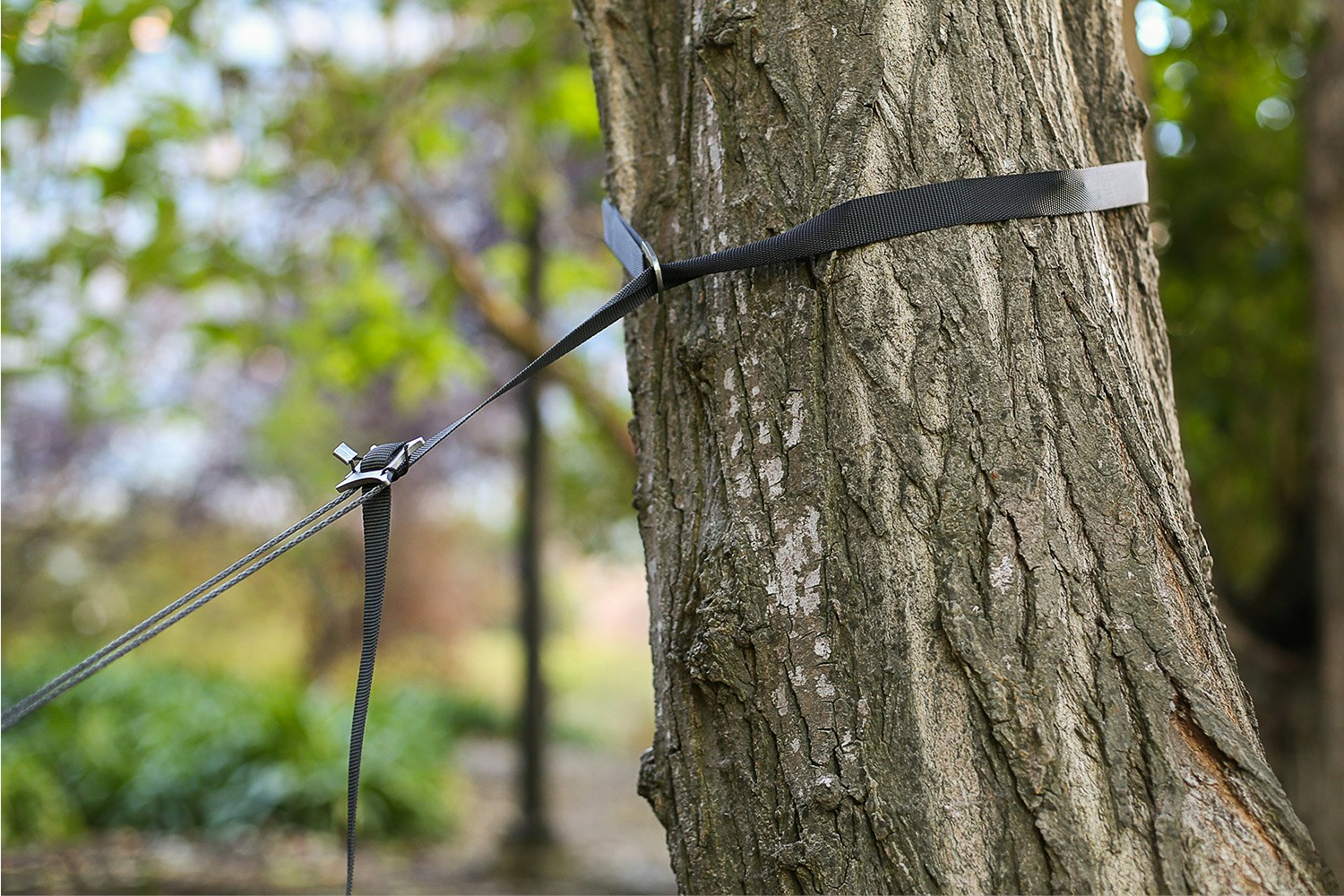 DutchWare Buckle Suspension Kit | Hammocks | Drop