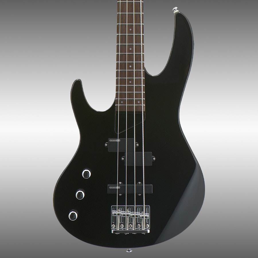 ESP LTD Left Handed Basses Details | Audiophile | Instruments | Drop