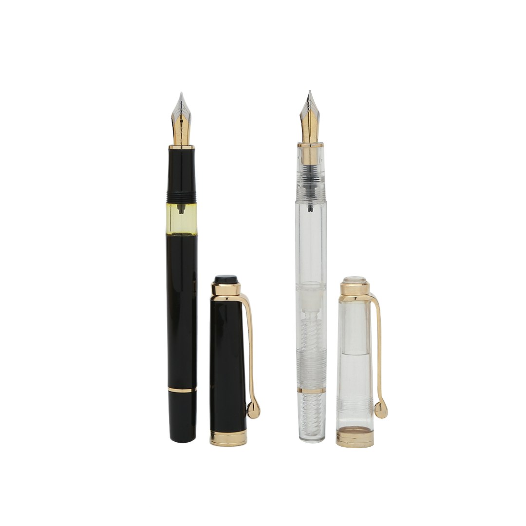 Fountain Pen Revolution Indus Fountain Pen (2-Pack) | Pens | Fountain ...