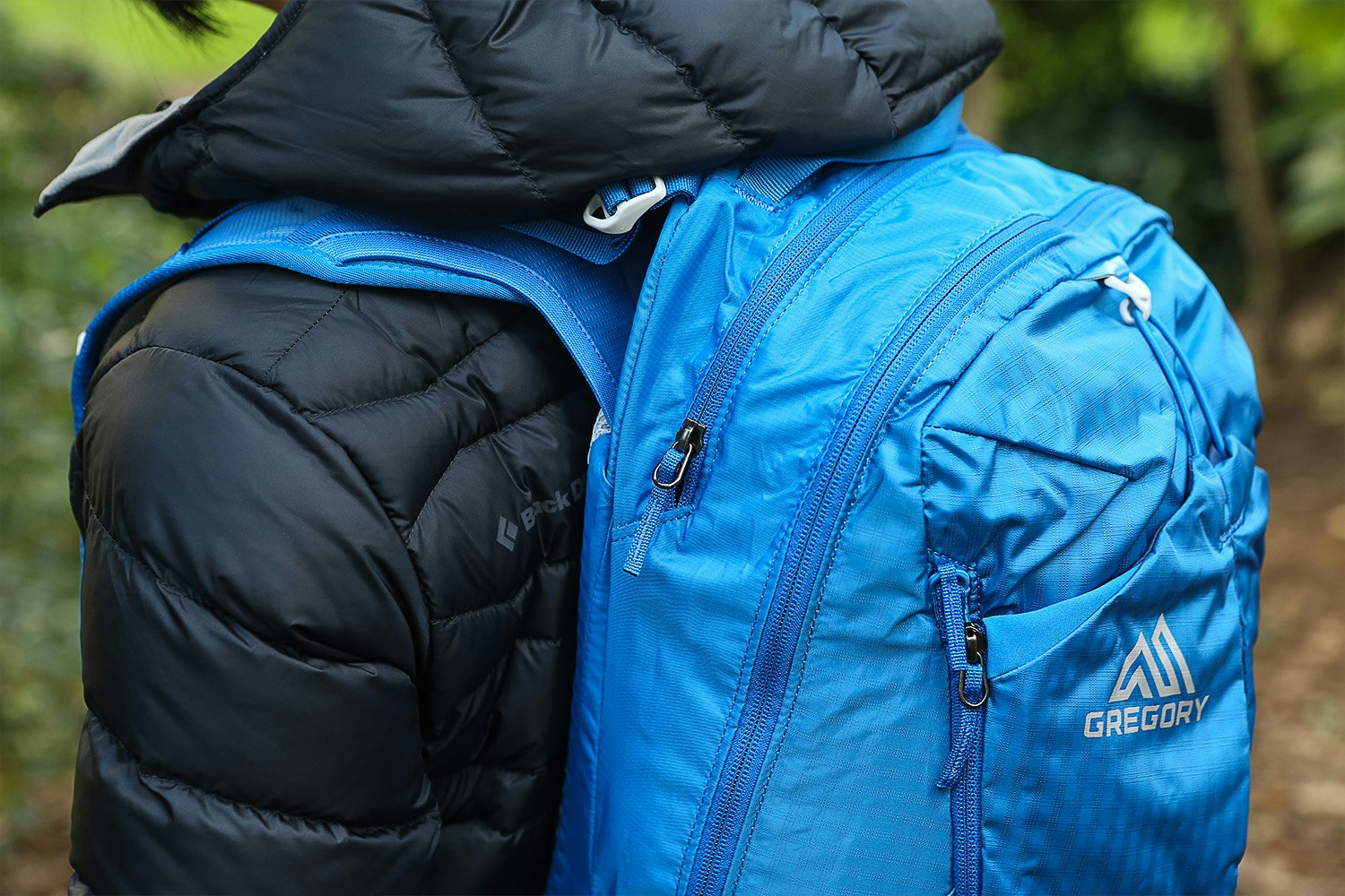 Gregory Miwok Daypack | Backpacks | Daypack Backpacks | Drop