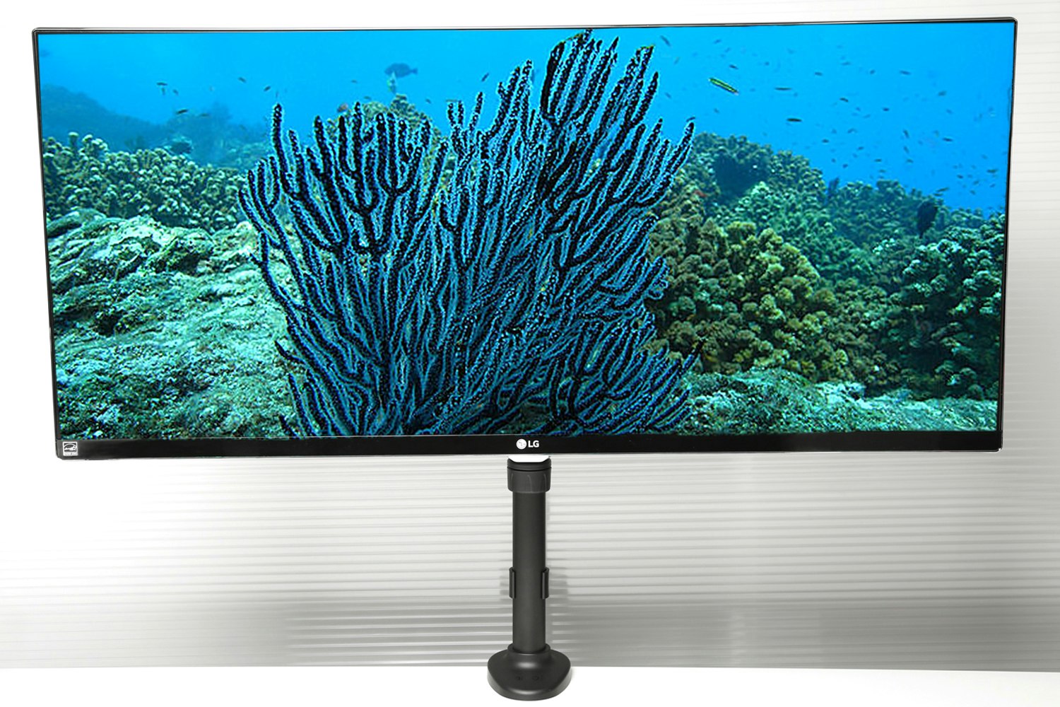 Kanto Single/Dual Desktop Monitor Mounts | Monitor Stands and Mounts | Drop