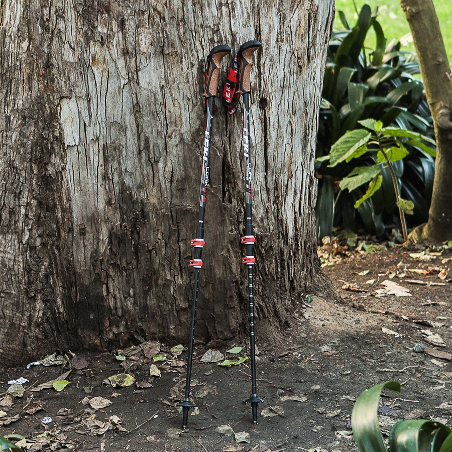 Leki Corklite Trekking Poles | Trekking Poles | Drop