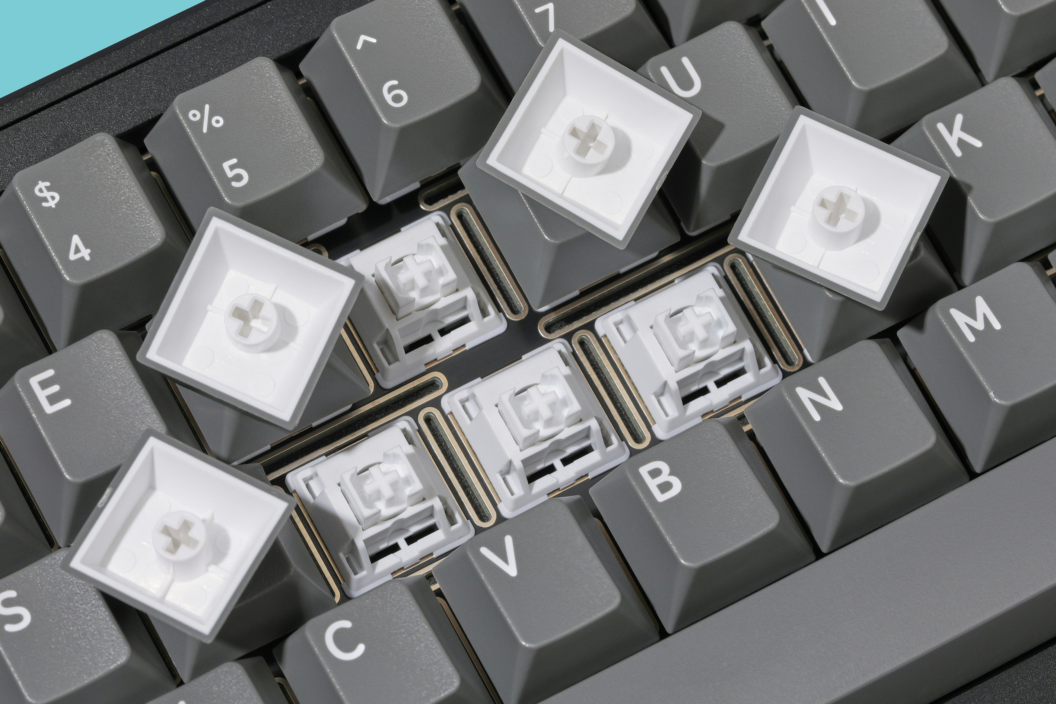 MOMOKA Zoo65 Keyboard – Drop Exclusive | Mechanical Keyboards | Custom ...