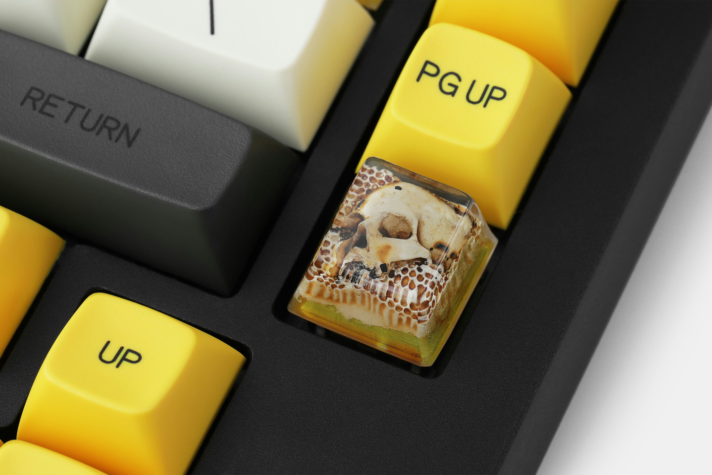 NZ Caps Honey Trap Artisan Keycaps | Mechanical Keyboards | Keycaps ...