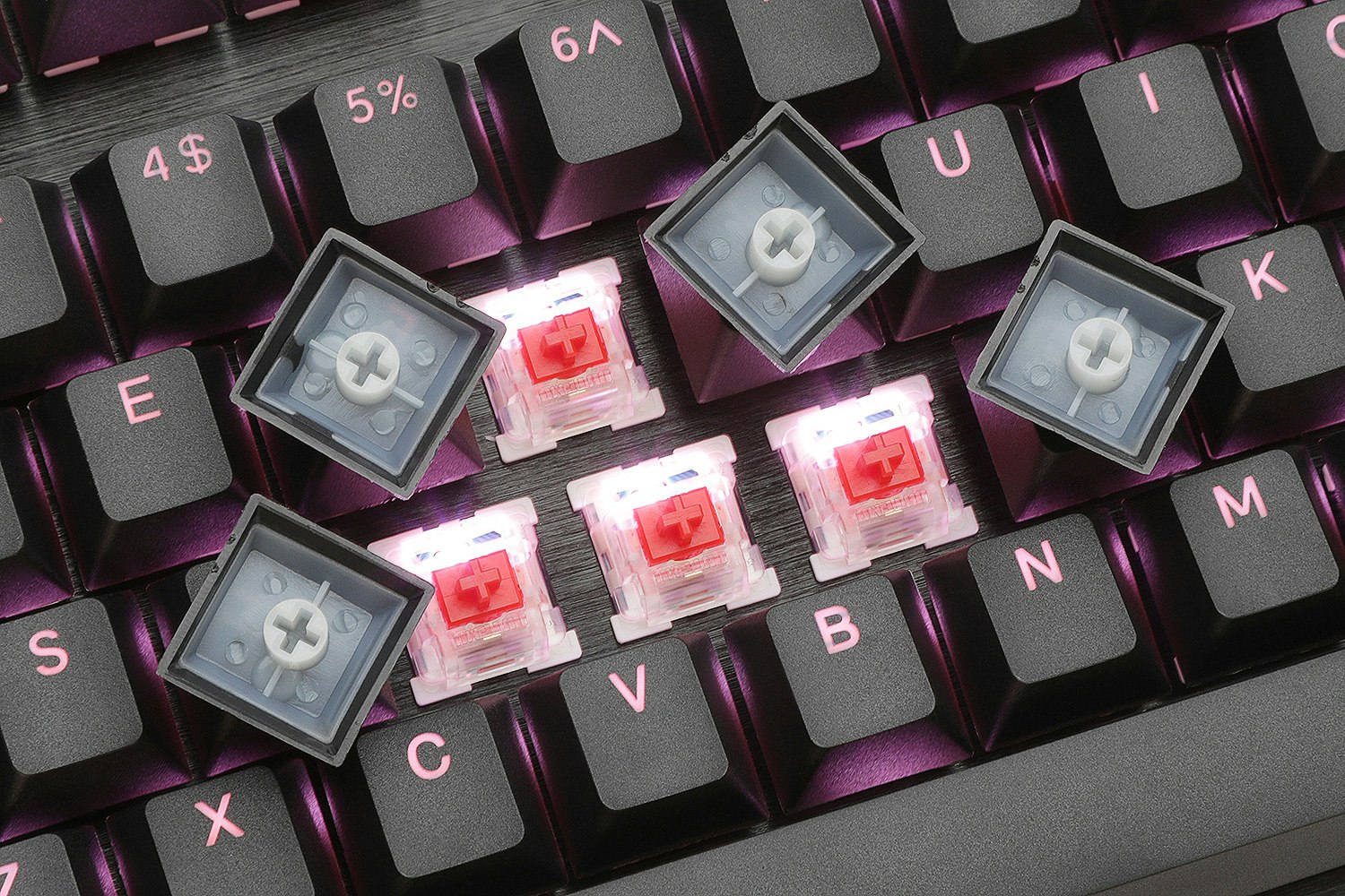 Smart Duck XS87 RGB TKL Mechanical Keyboard | Mechanical Keyboards ...