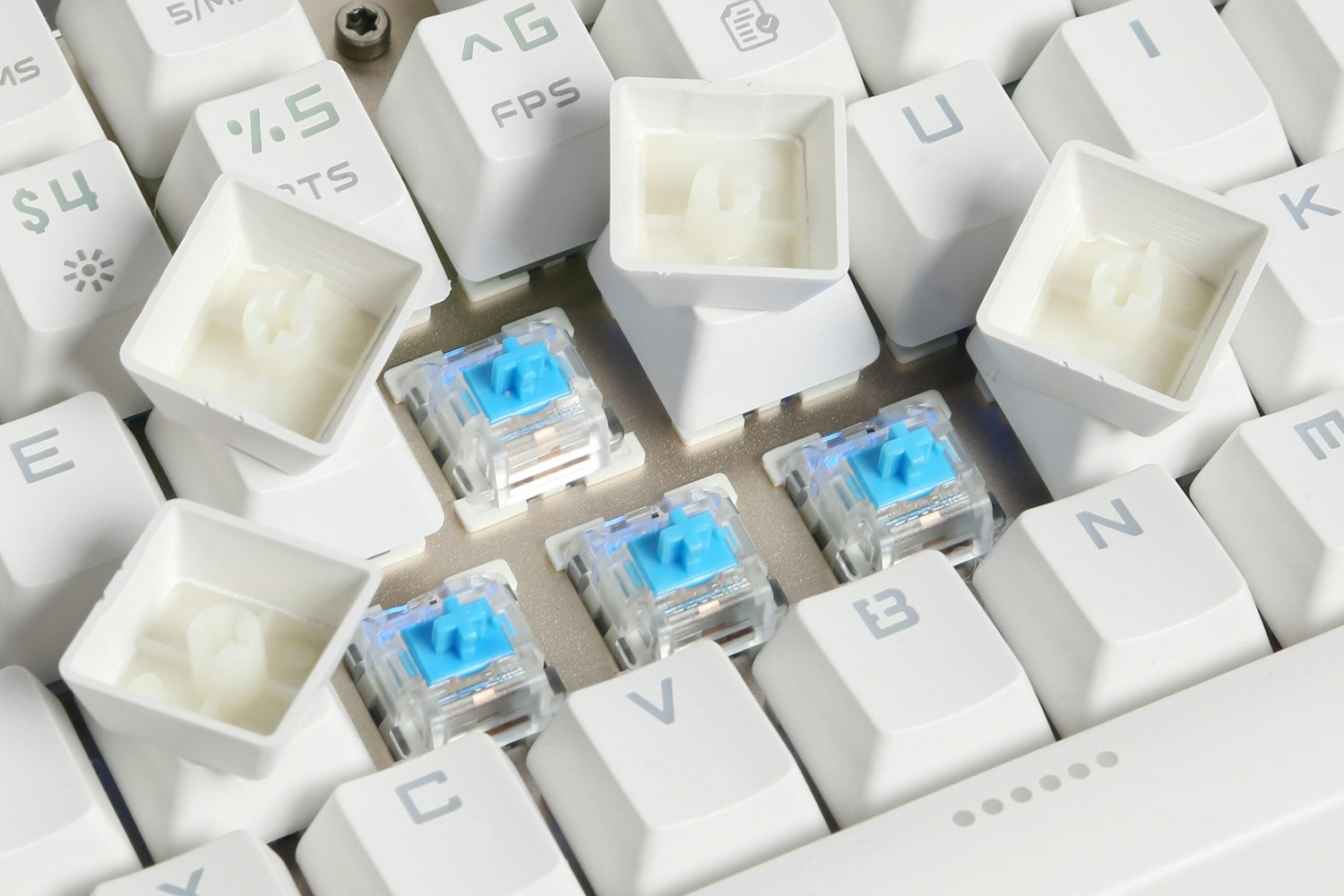 Team Wolf Swappable Switch Keyboard Bundle | Mechanical Keyboards ...